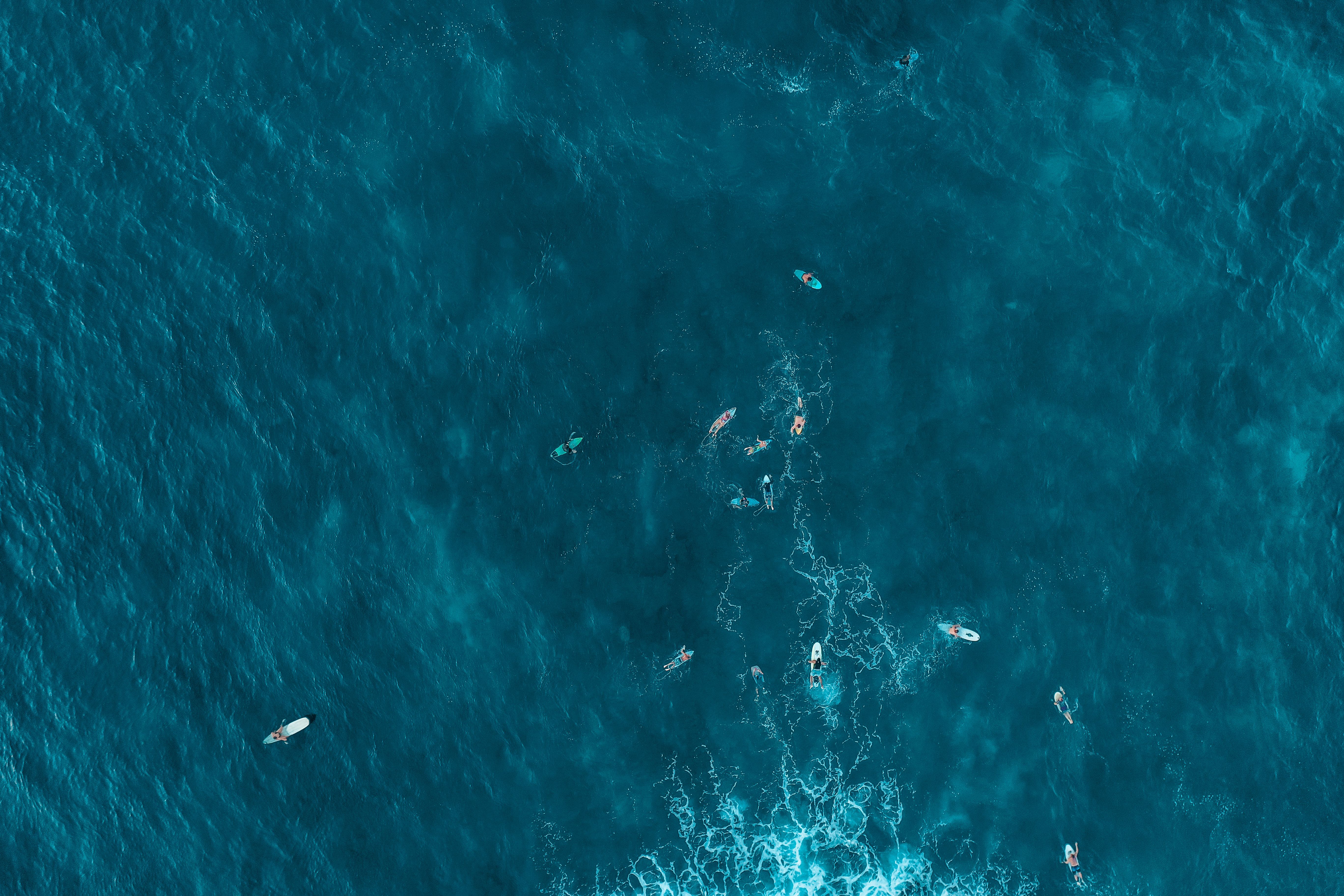 Aerial View of Body of Water · Free Stock Photo