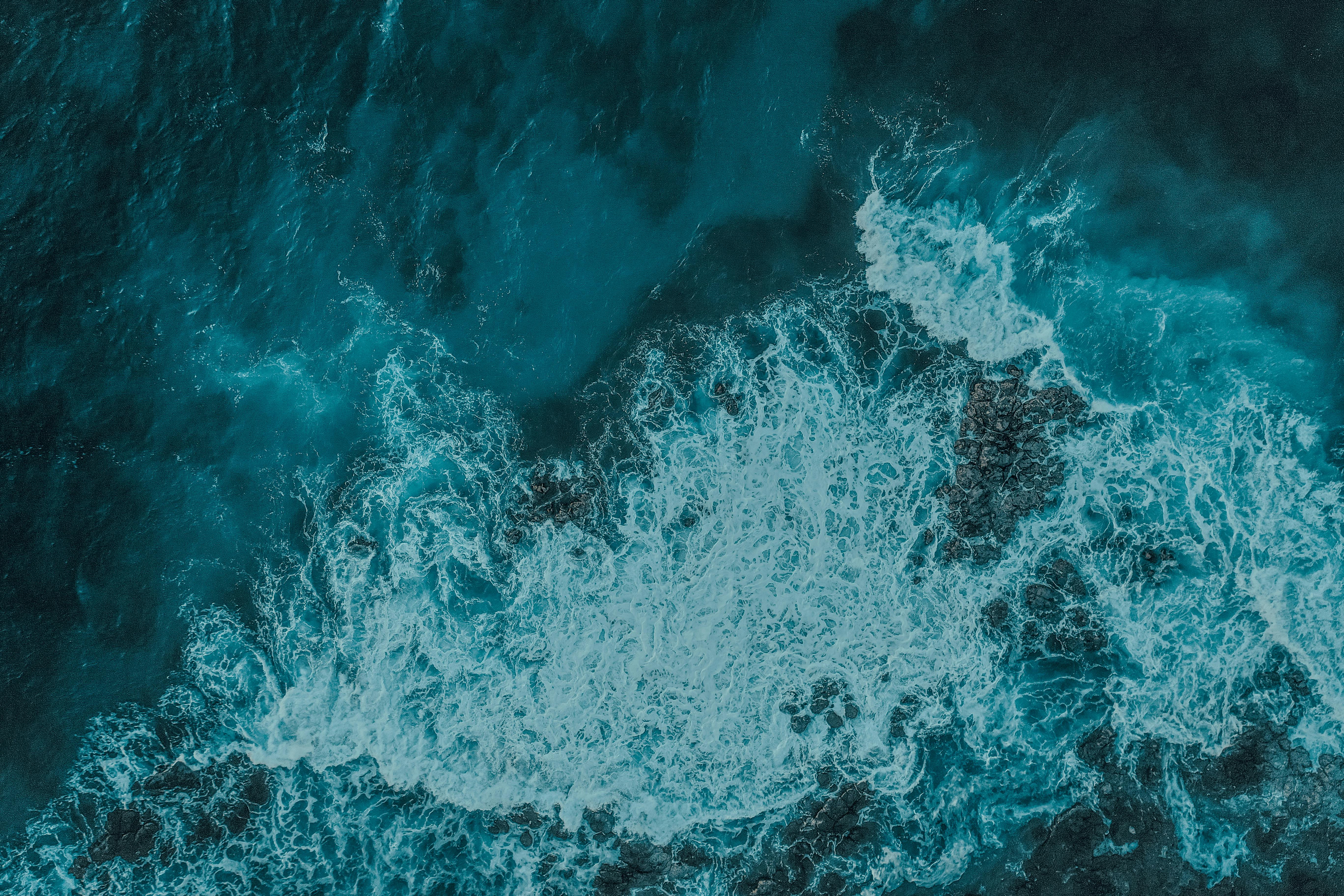 Blue and White Ocean · Free Stock Photo