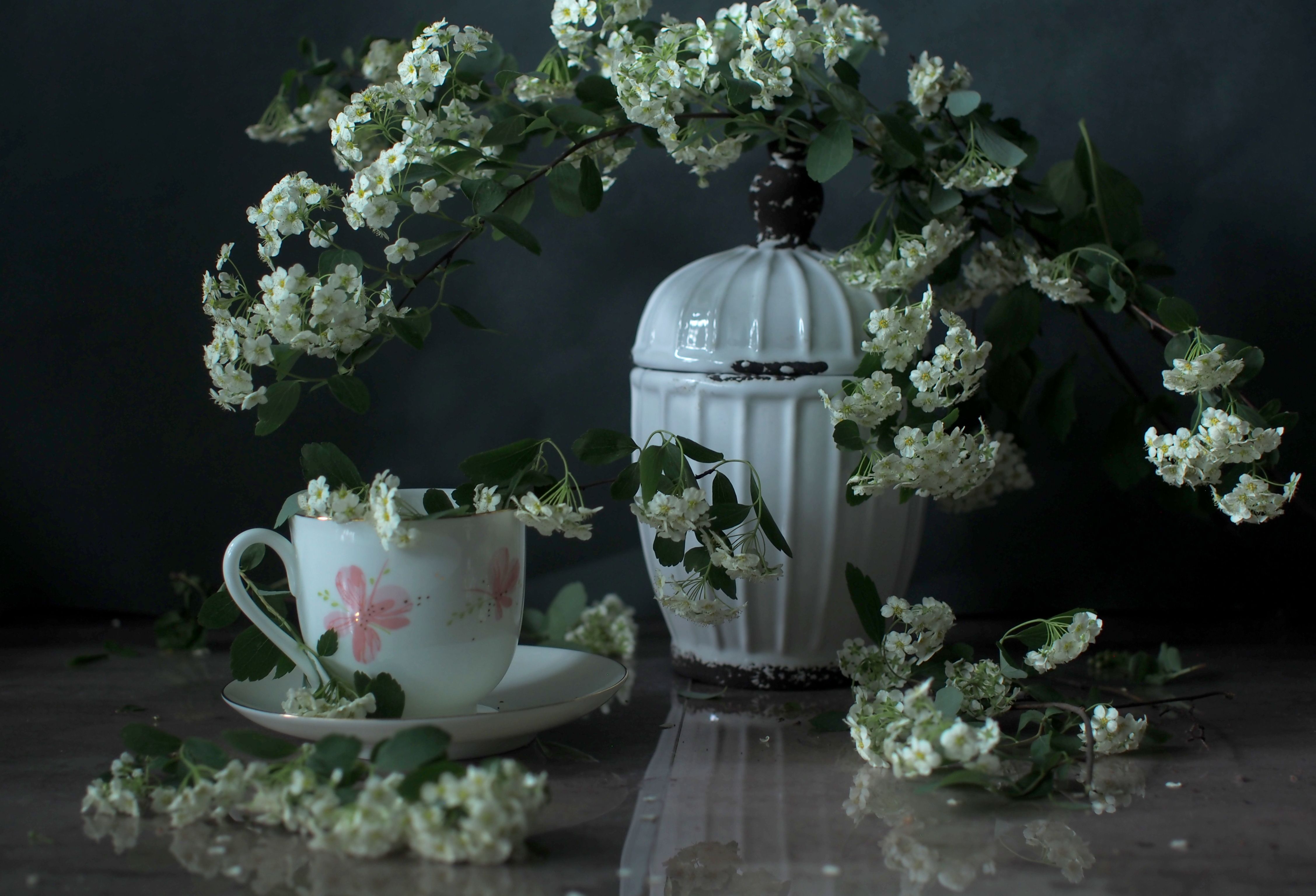 Ceramic Cup and Saucer in Close-up Photography · Free Stock Photo