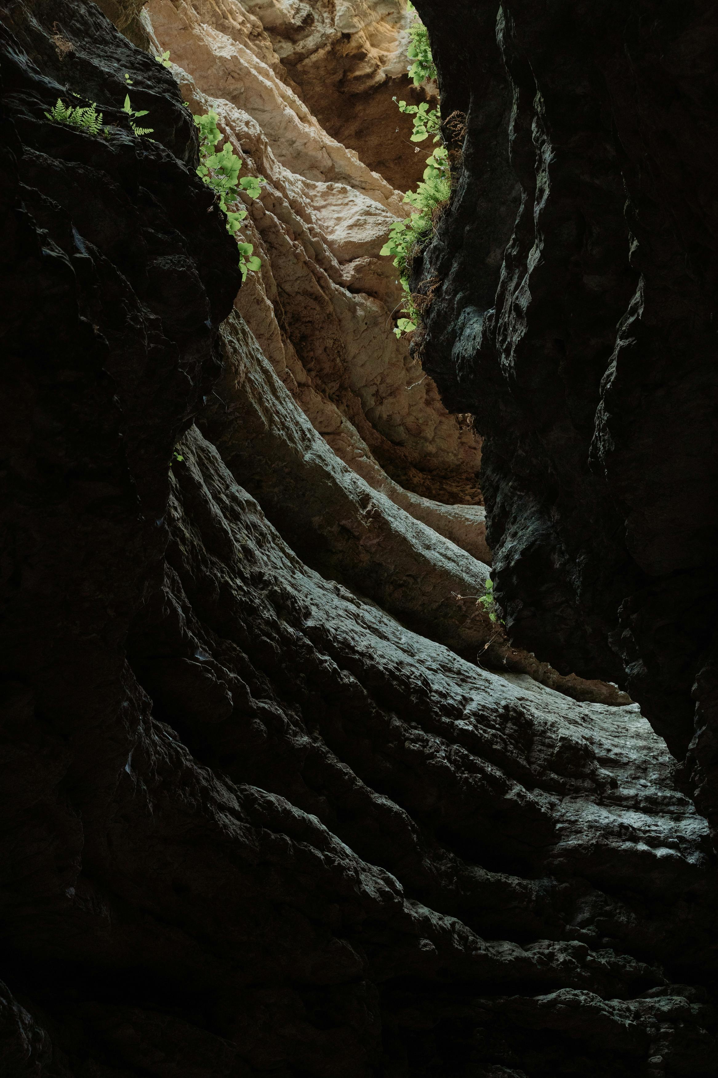 Exploration Photos, Download The BEST Free Exploration Stock Photos ...