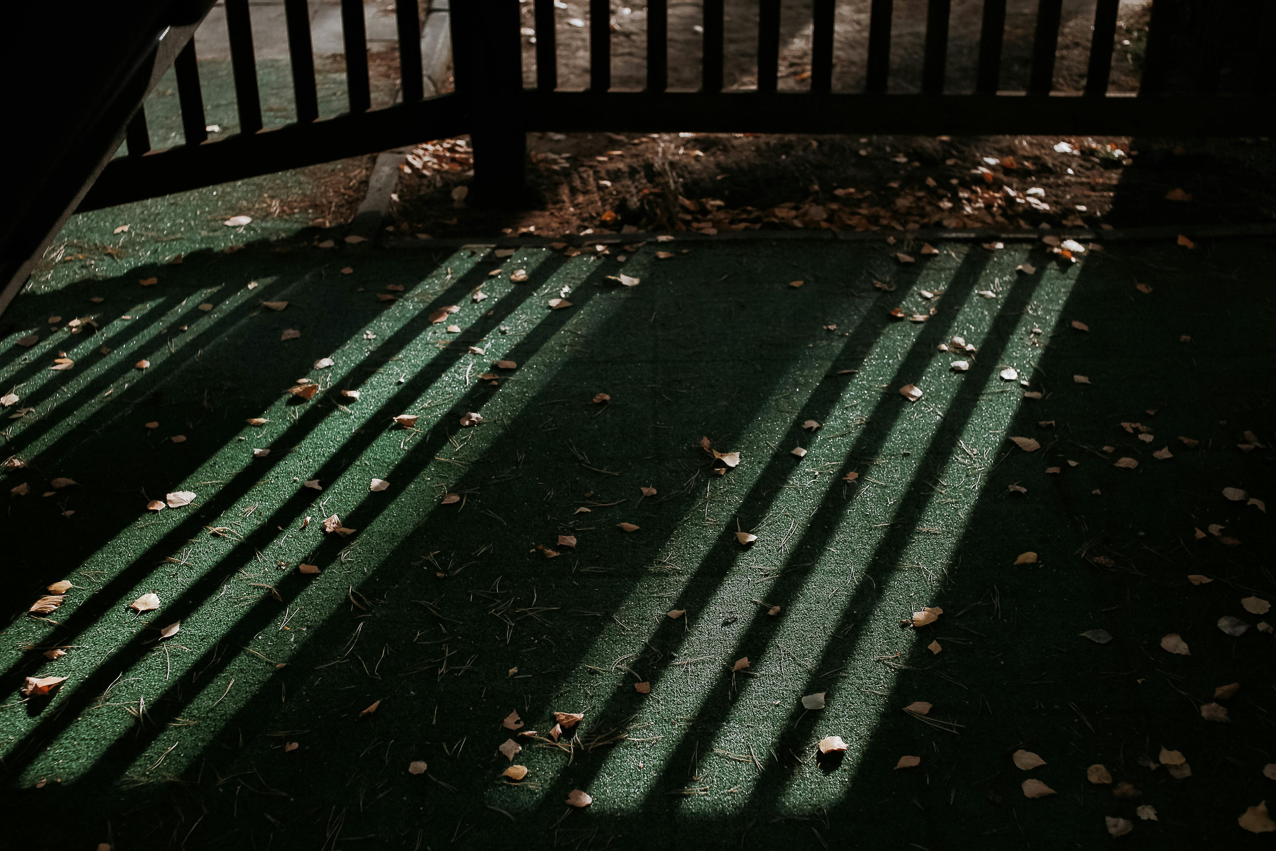 Shadows on Pavement · Free Stock Photo