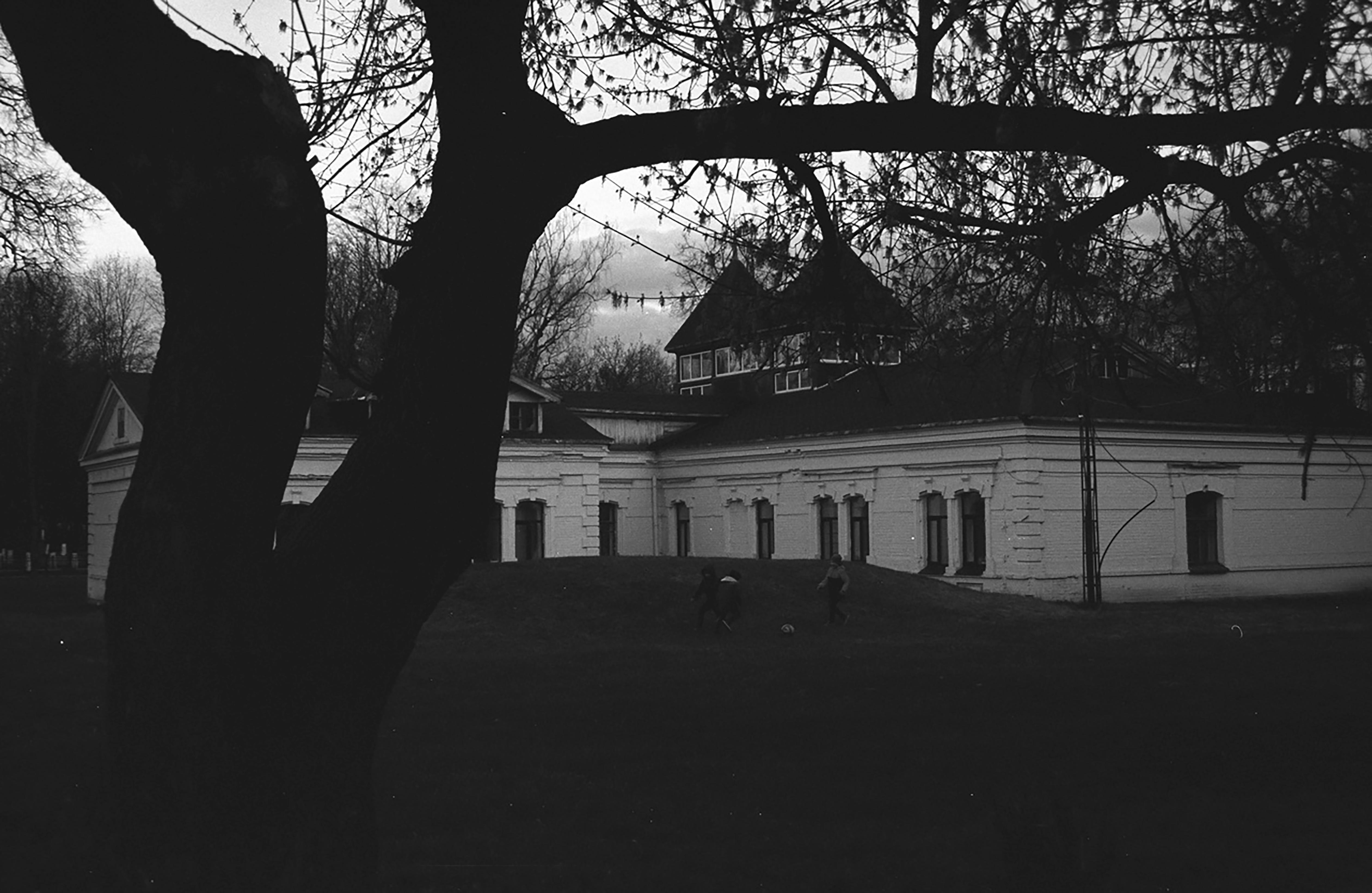 House Beside Trees · Free Stock Photo