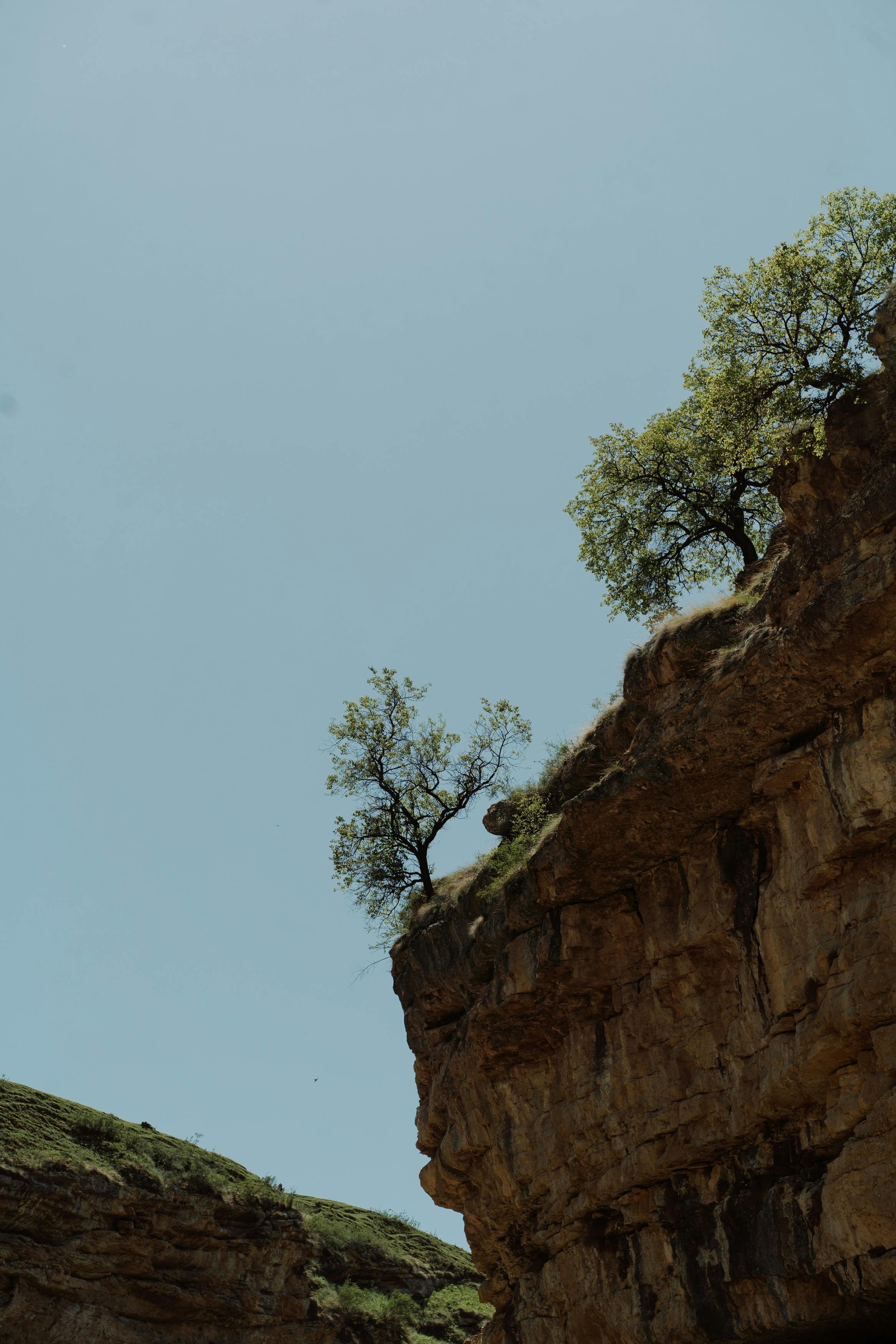 Growth Scale Photos, Download The BEST Free Growth Scale Stock Photos ...