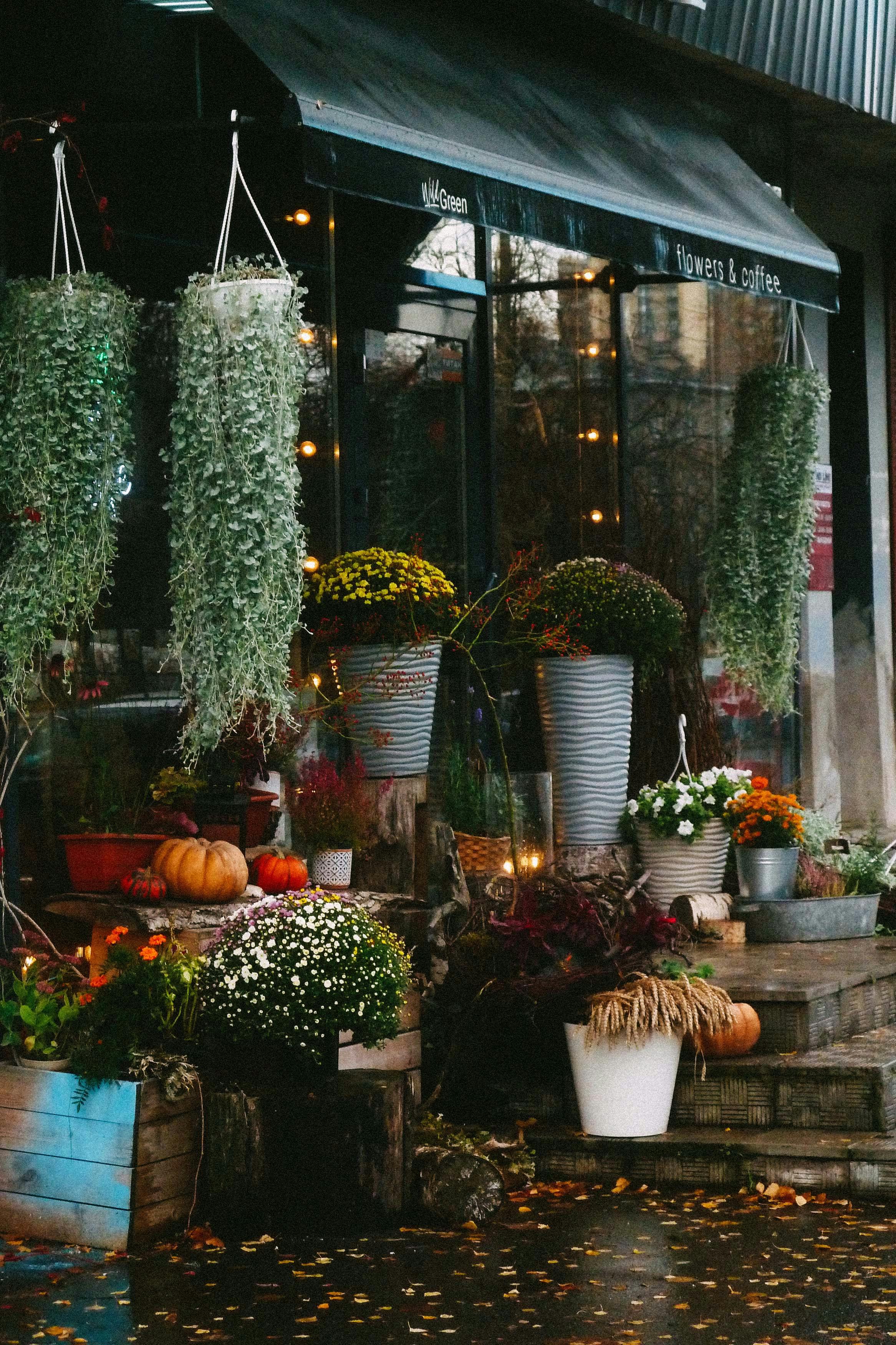 Display in Front of Garden Store · Free Stock Photo