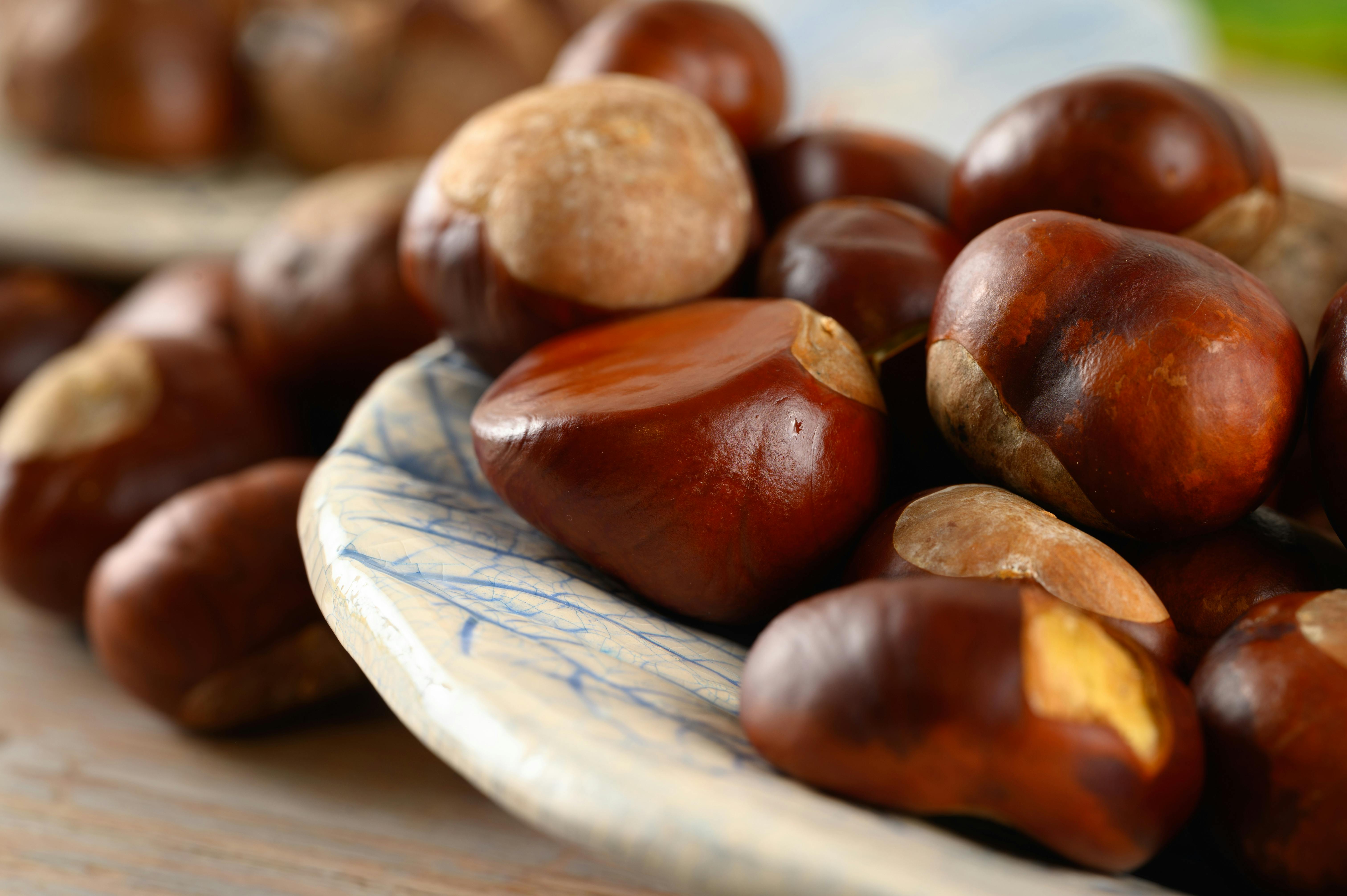 Chestnuts in Close Up · Free Stock Photo