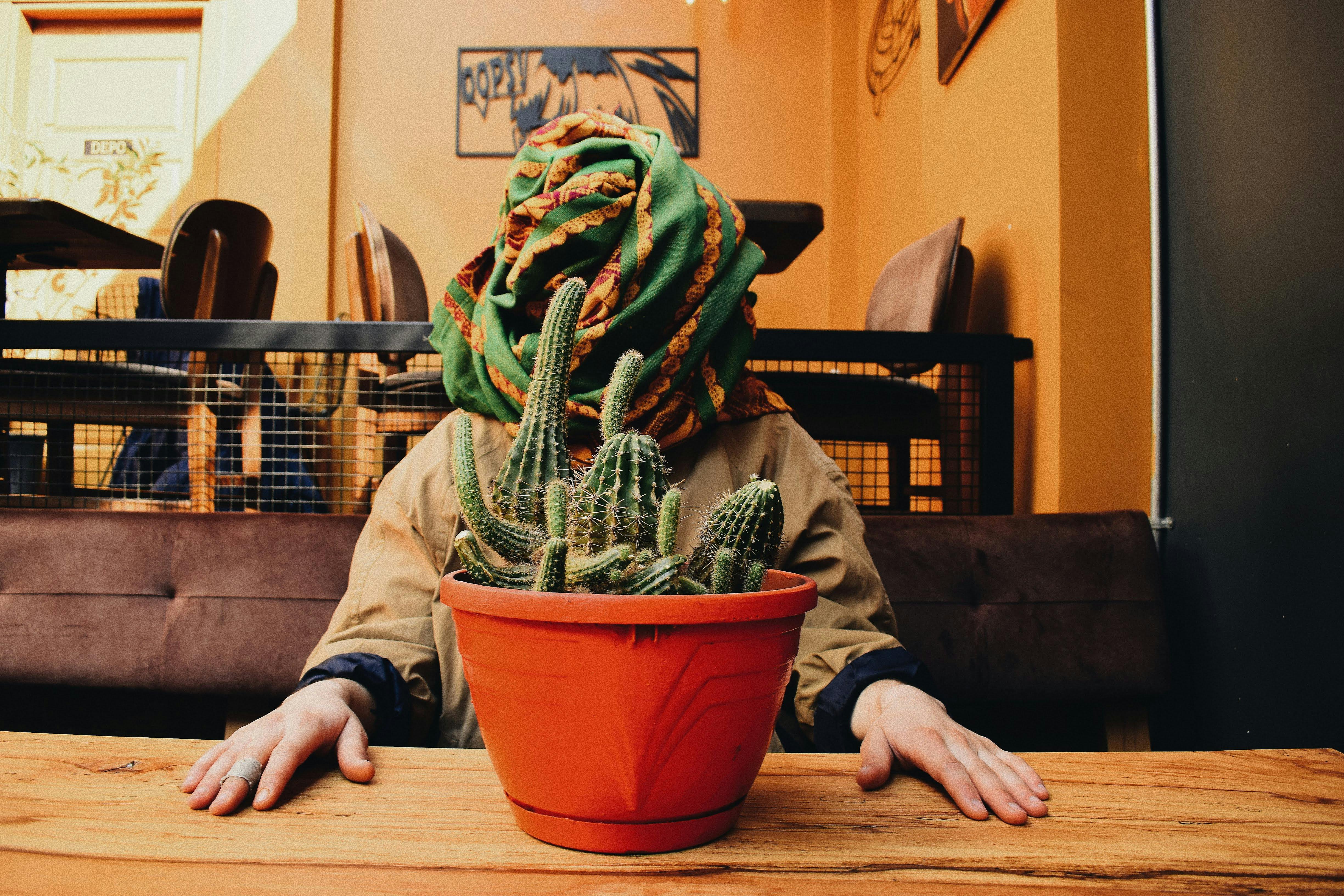 Person Sitting with Face Covered with a Scarf and Cacti in a Pot · Free ...