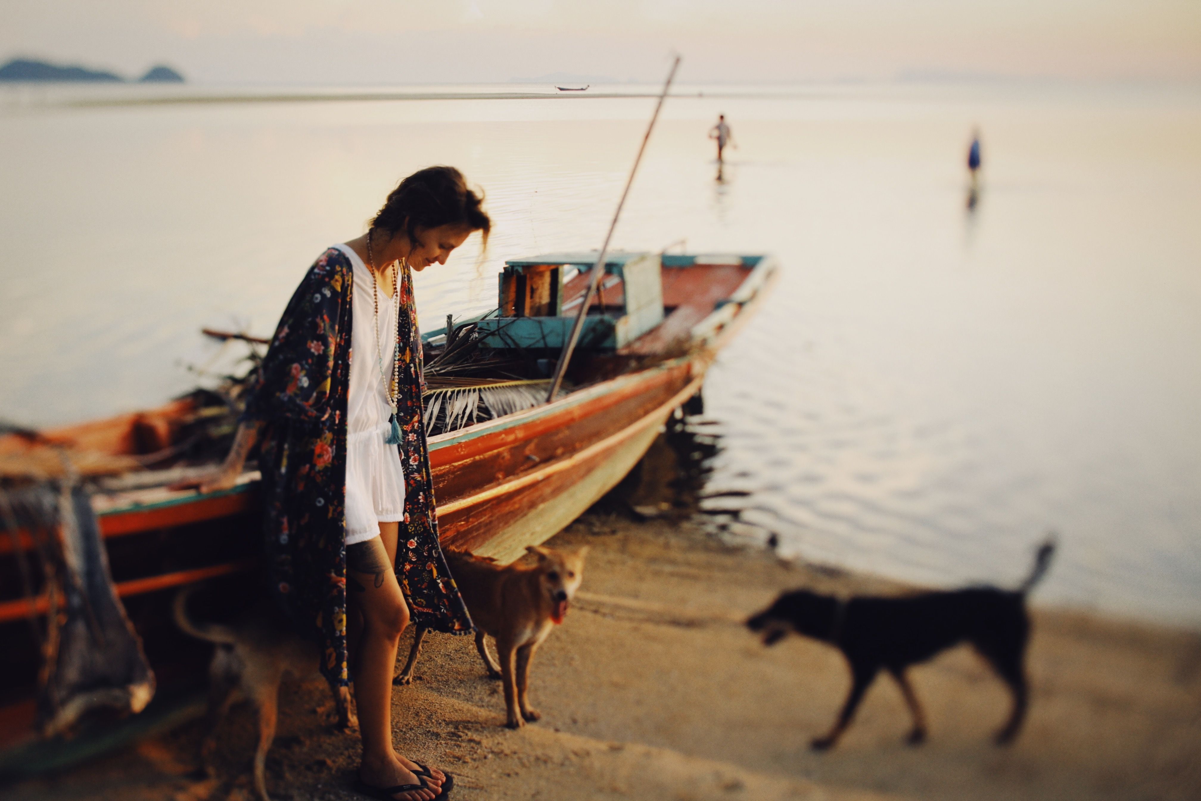 Dogs On Boats Photos, Download The BEST Free Dogs On Boats Stock Photos ...