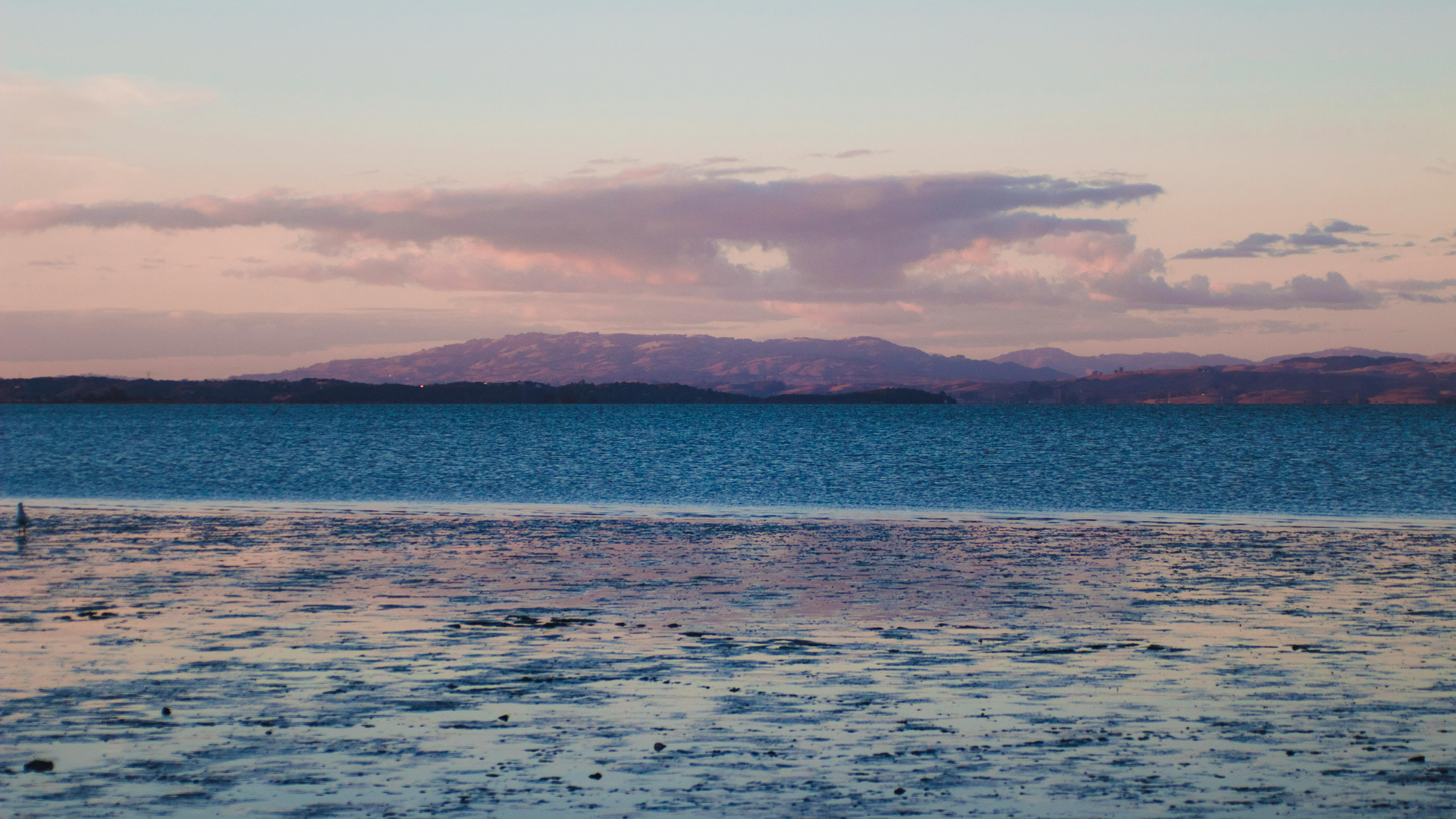 Blue Placid Ocean Under Blue Sky · Free Stock Photo