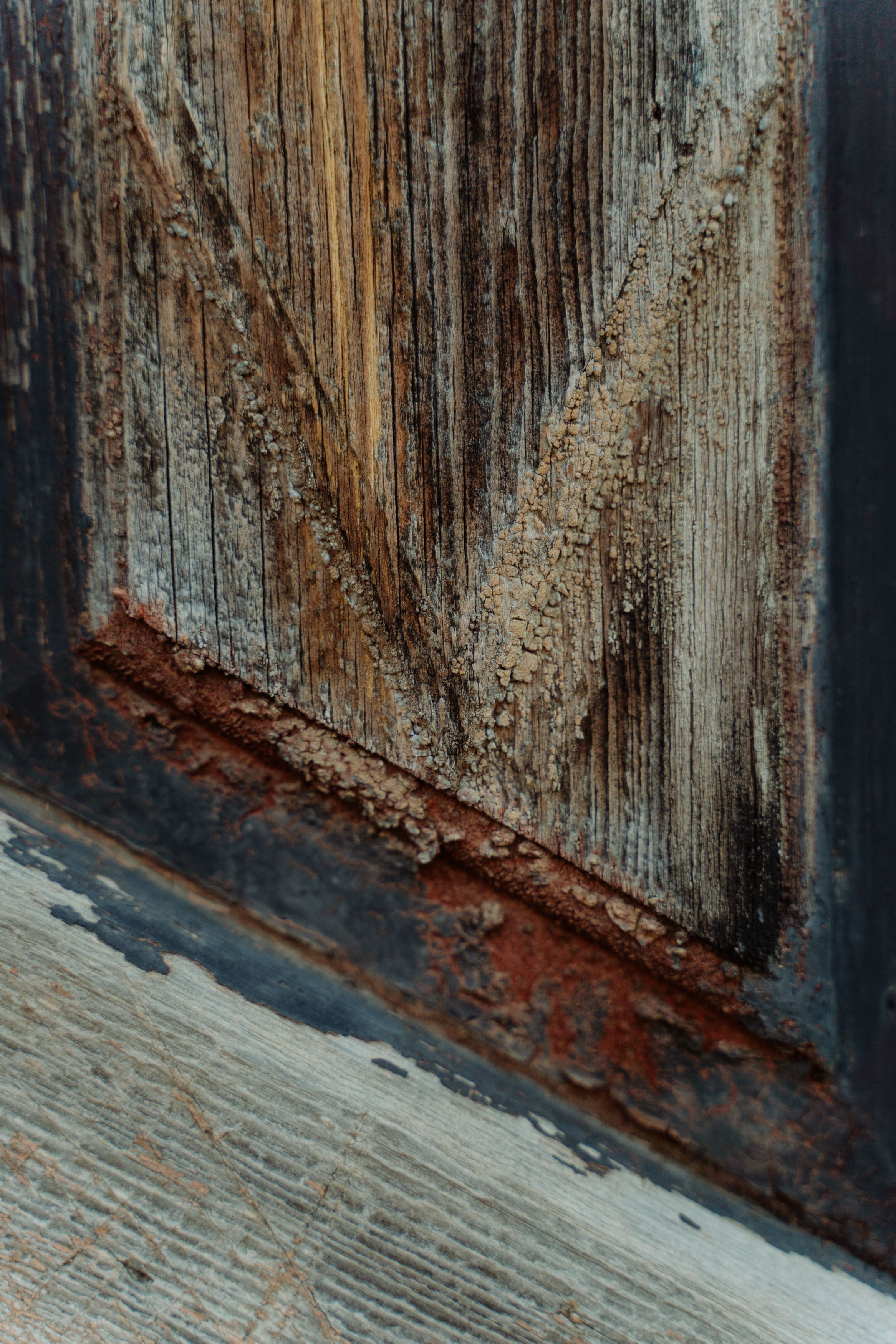Close-Up Shot of a Wood · Free Stock Photo