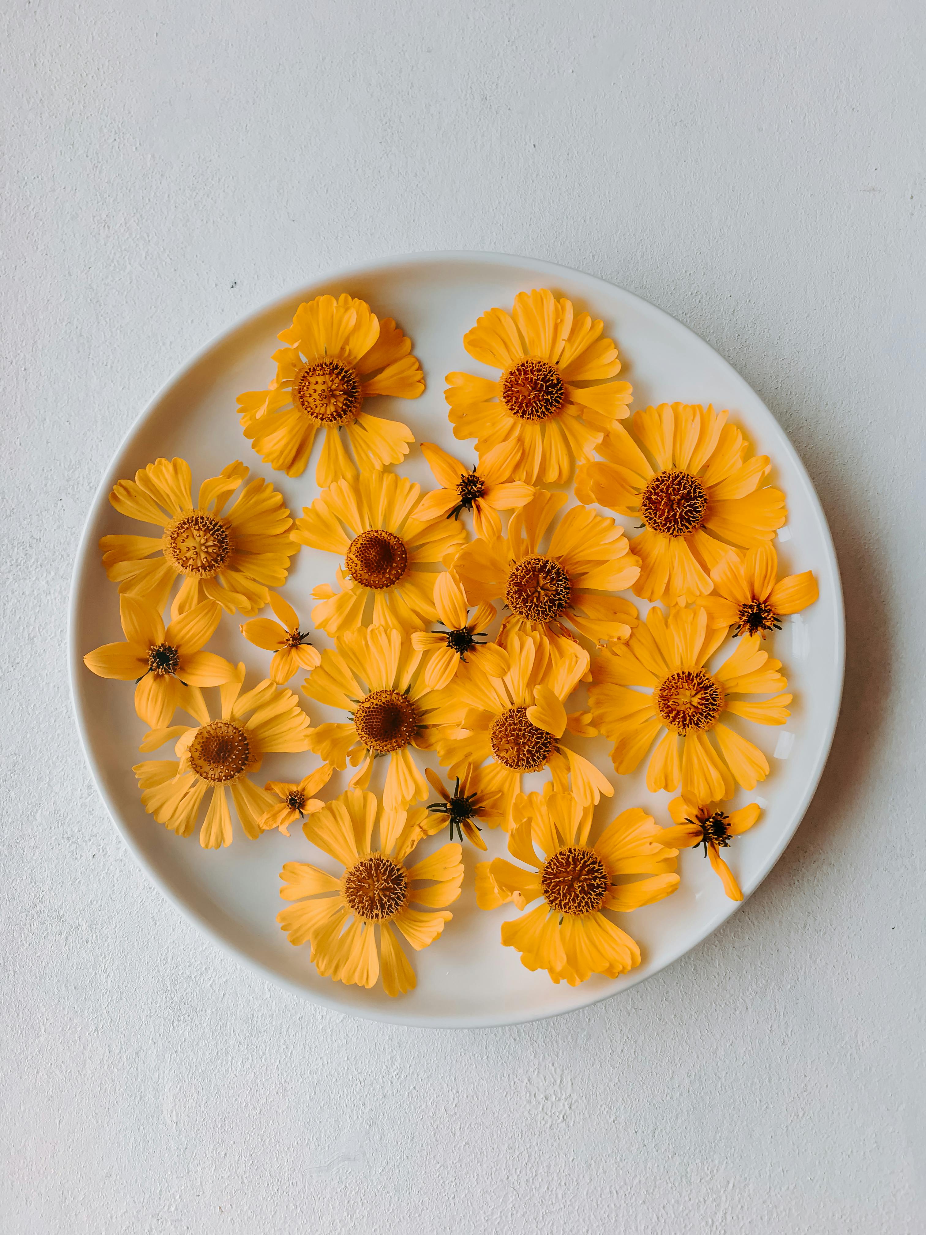 Motif Africain Photos, Download The BEST Free Motif Africain Stock ...