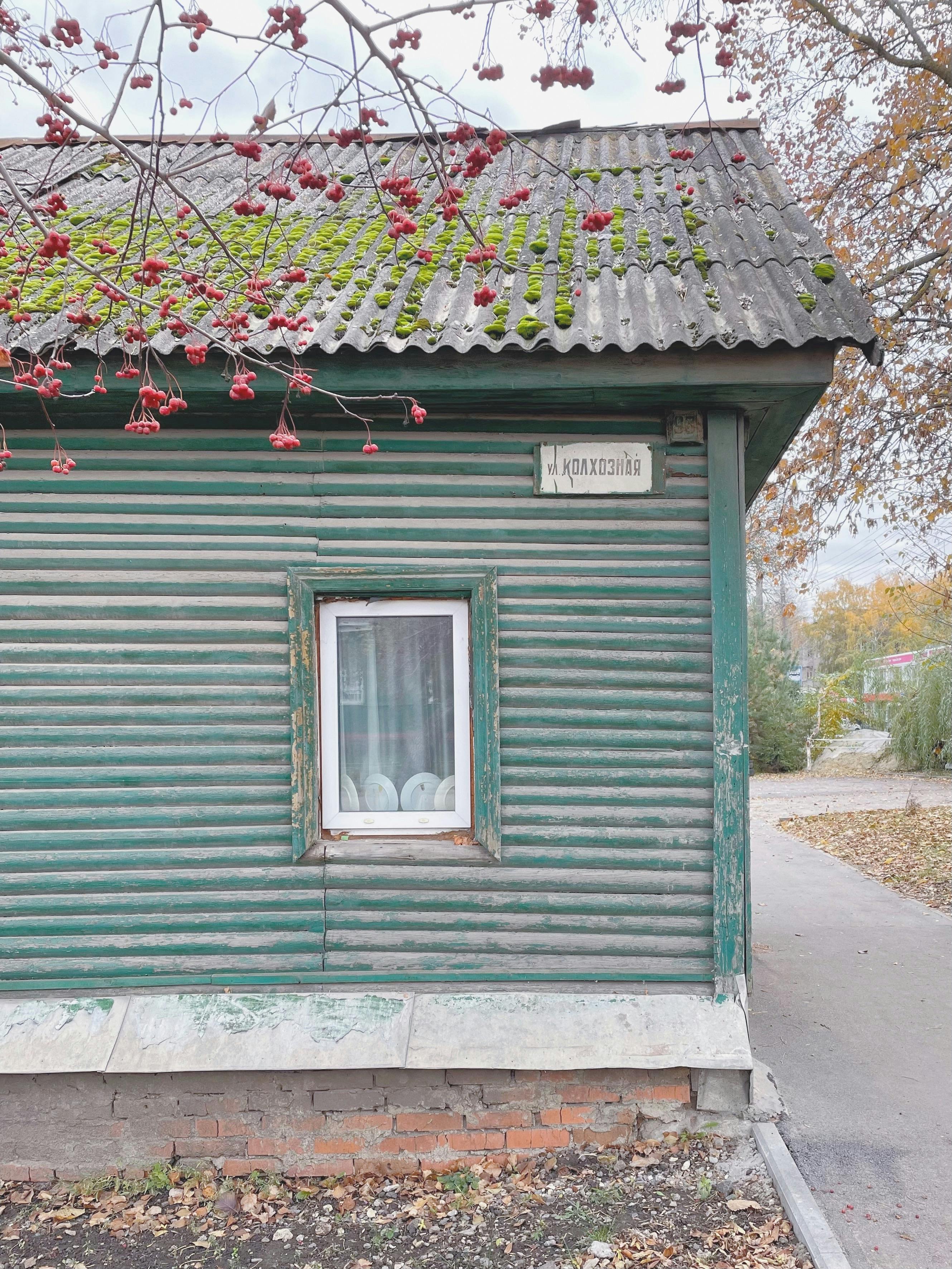 Tree Branches over House · Free Stock Photo