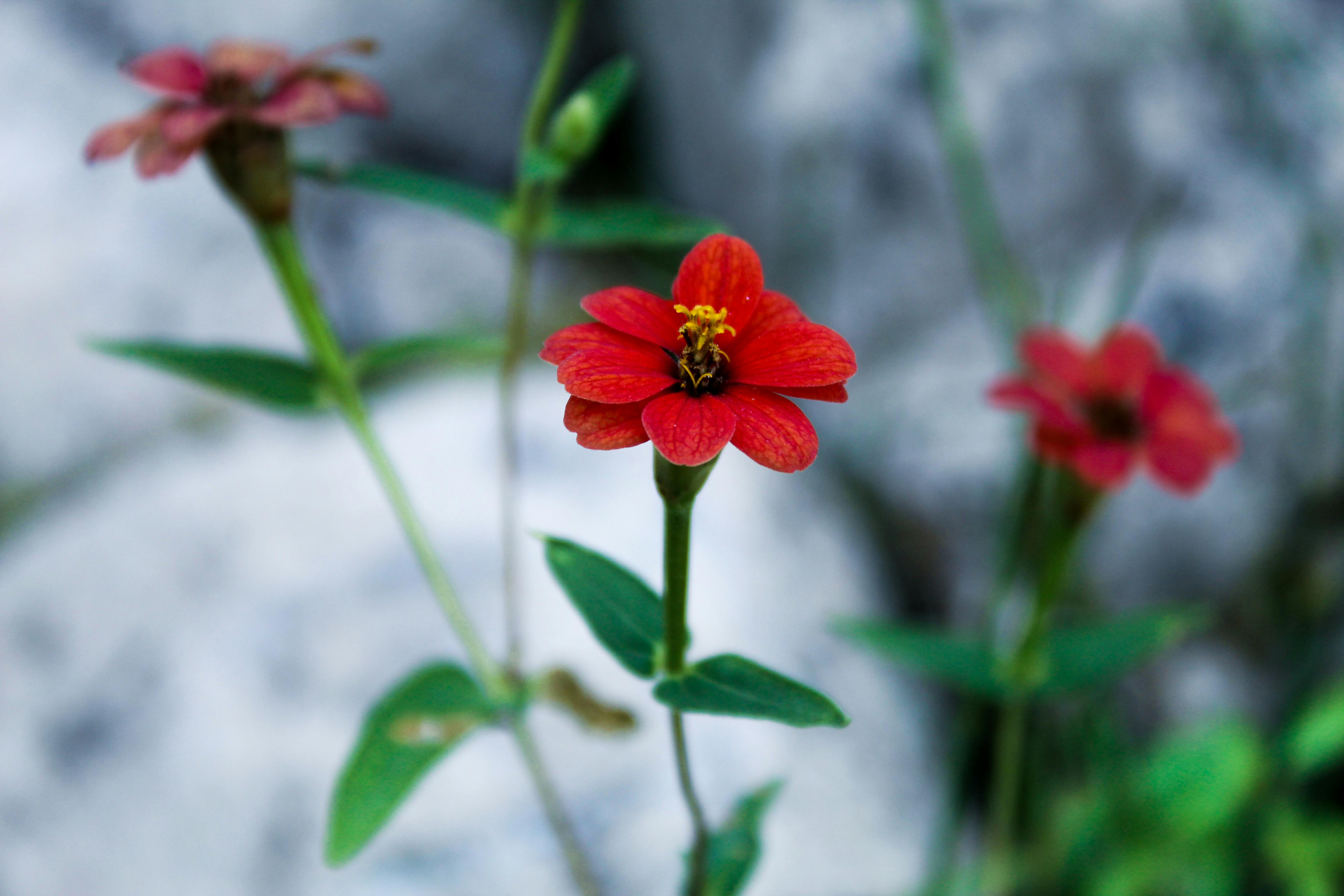 Dharmesh Parmar - Photography