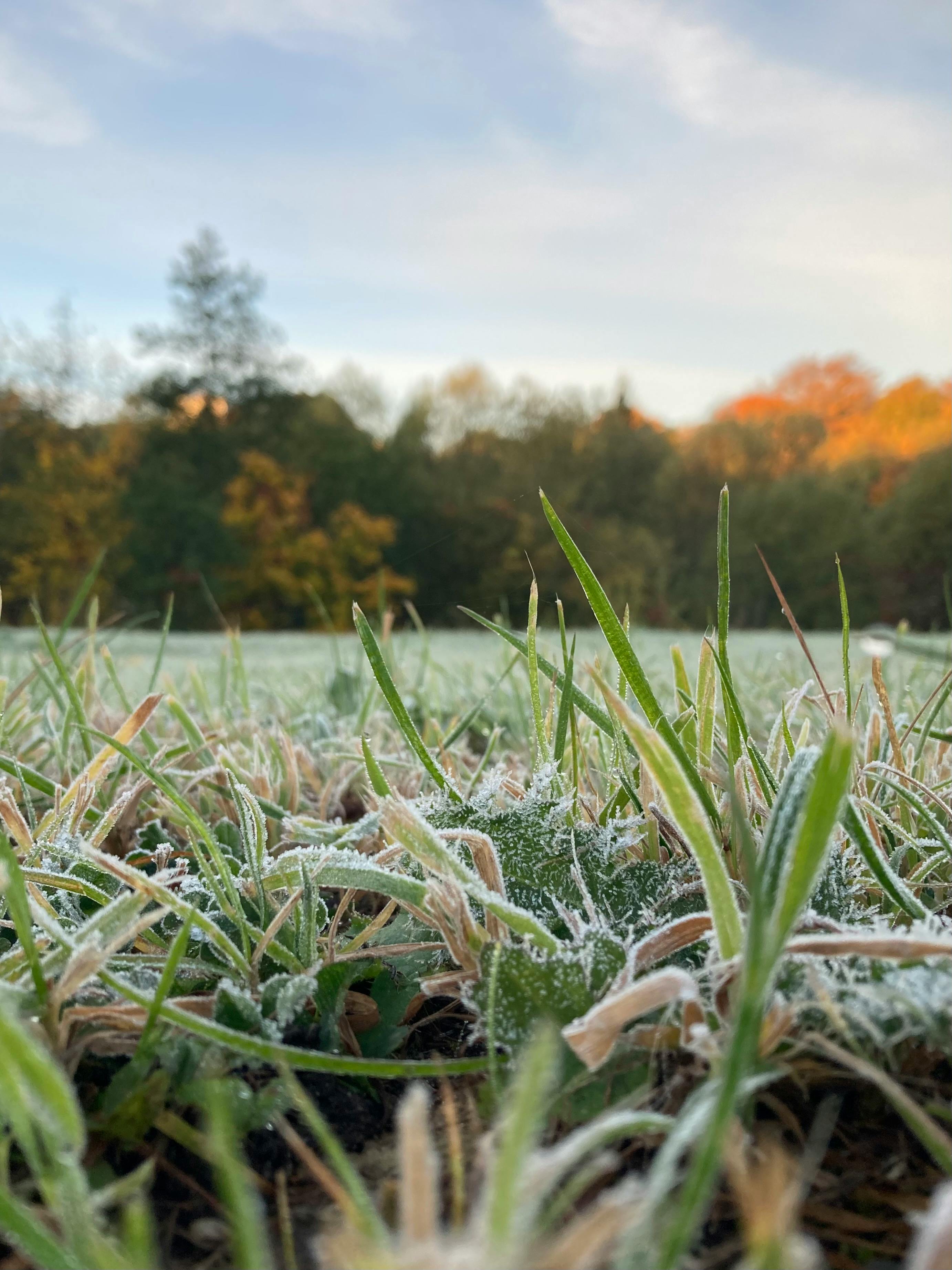 Andrey Markov - 摄影