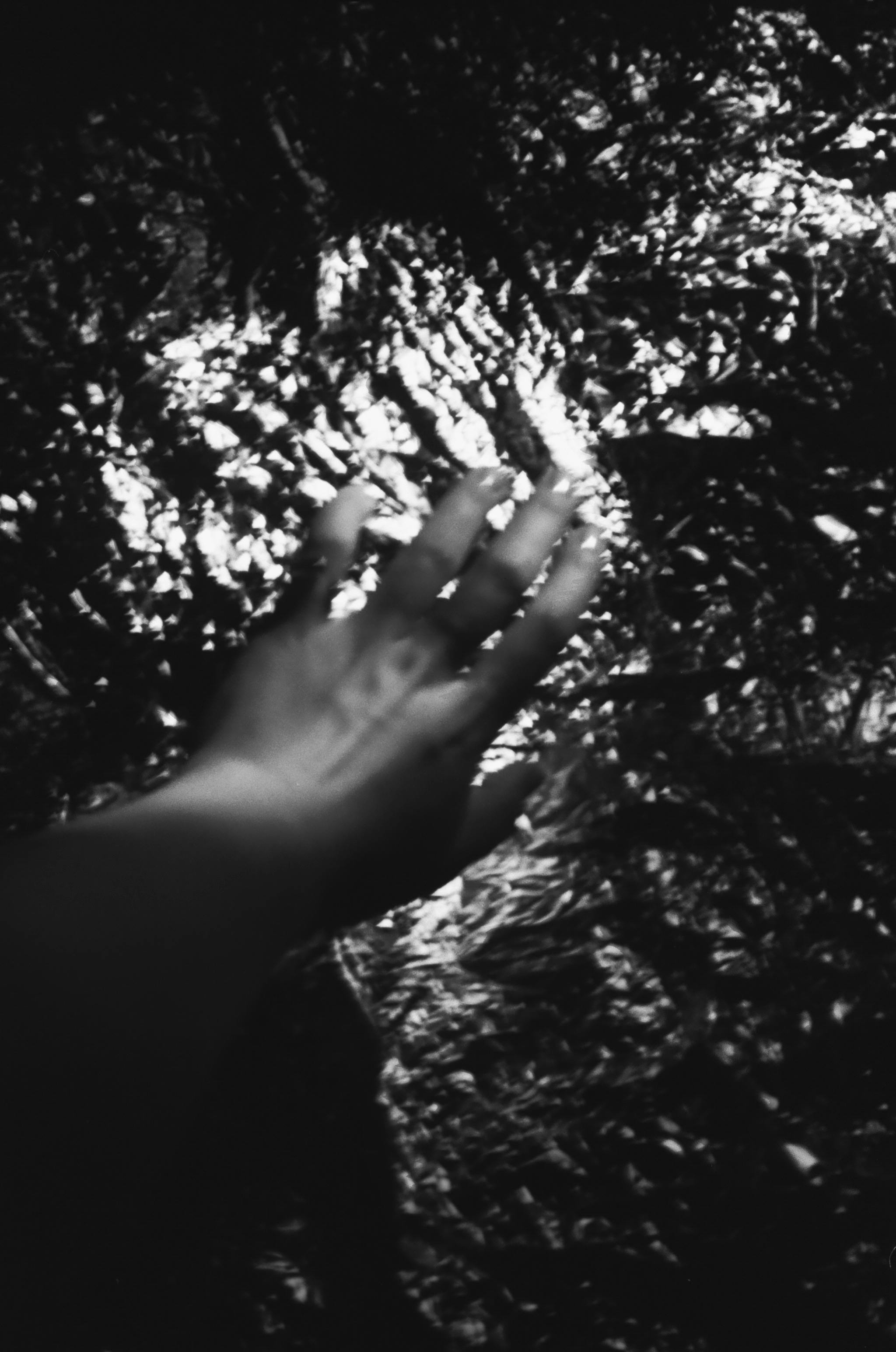 Grayscale Photo of Person's Hand · Free Stock Photo