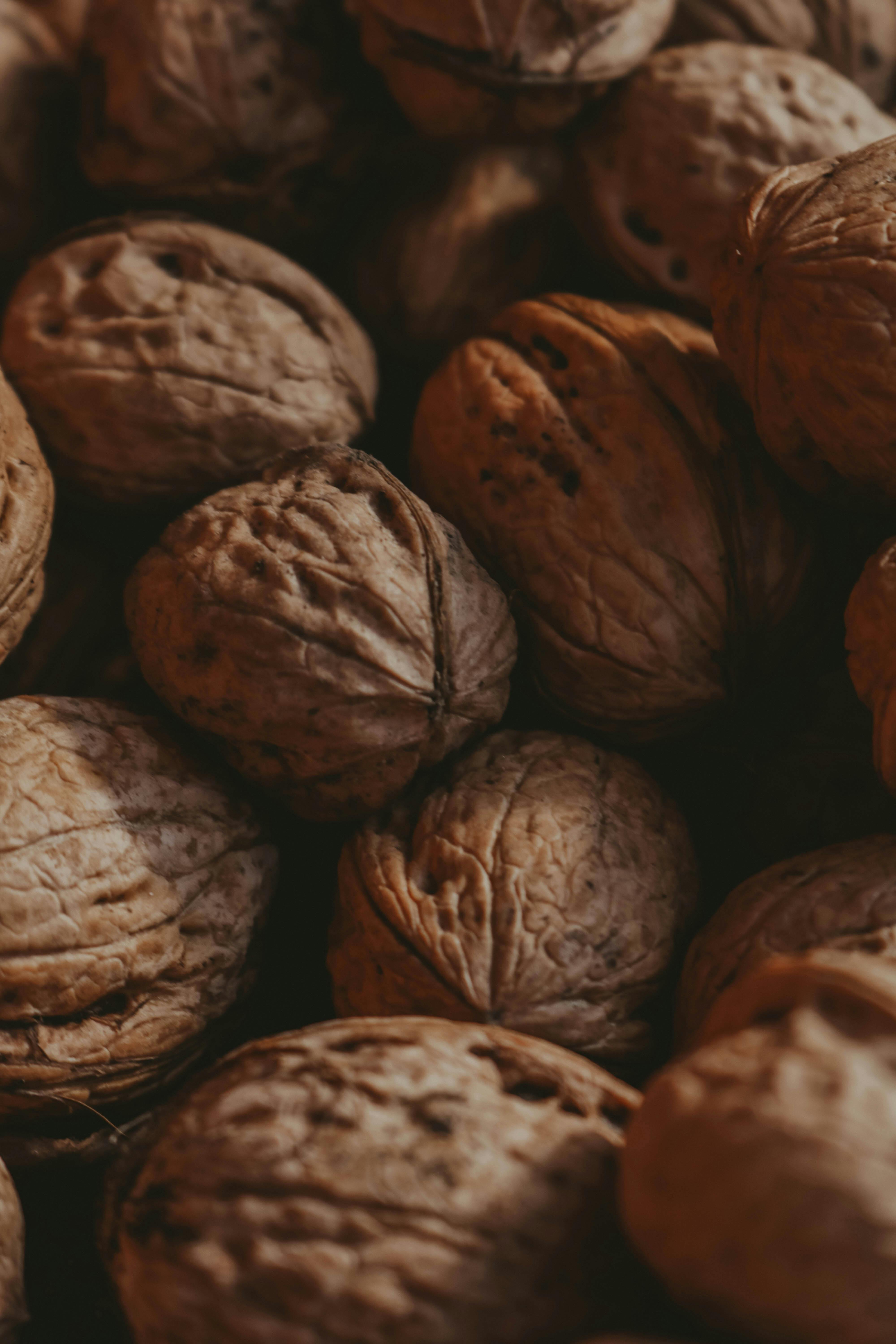 Close-Up Shot of Walnuts · Free Stock Photo