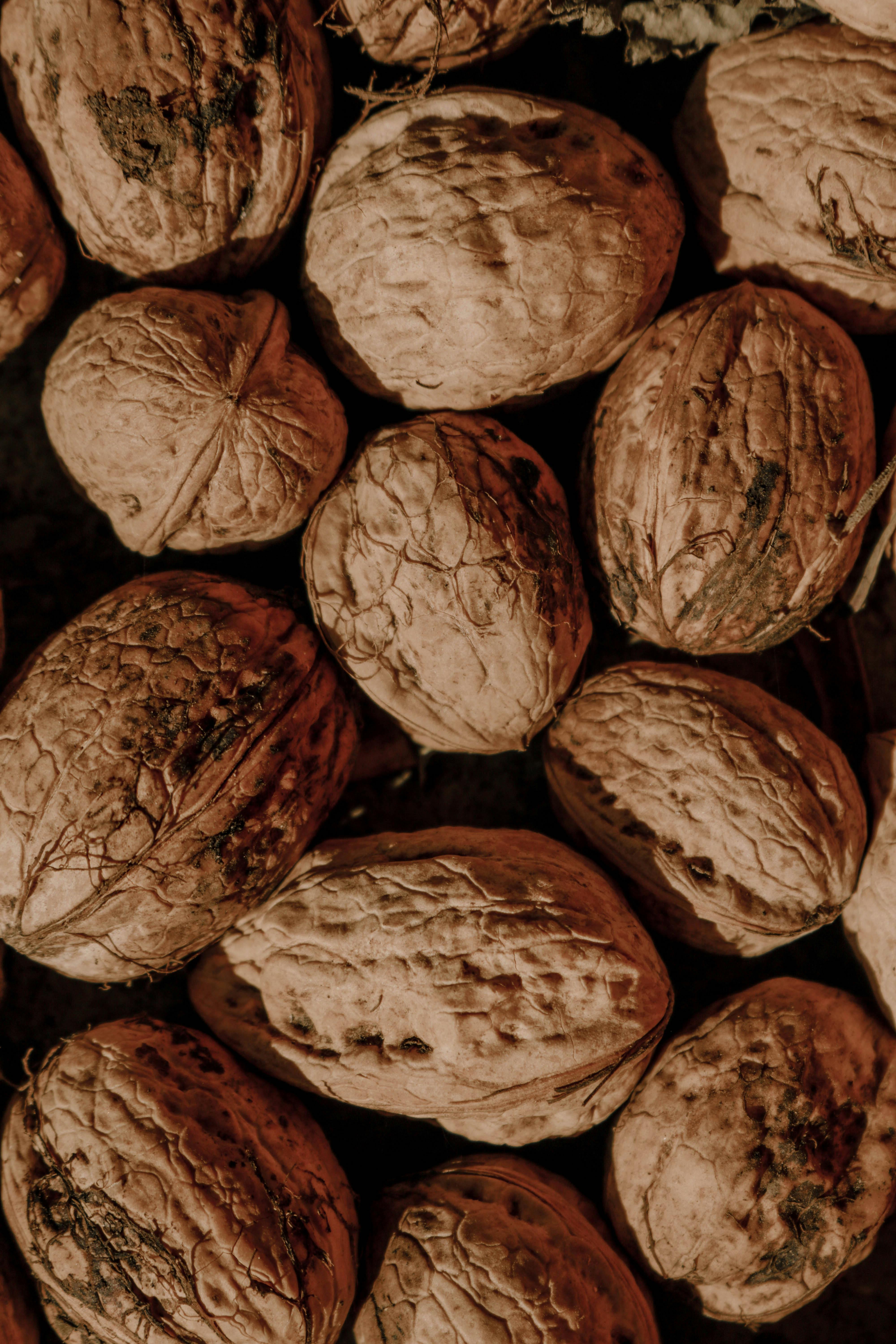 Walnut Texture Photos, Download The BEST Free Walnut Texture Stock ...