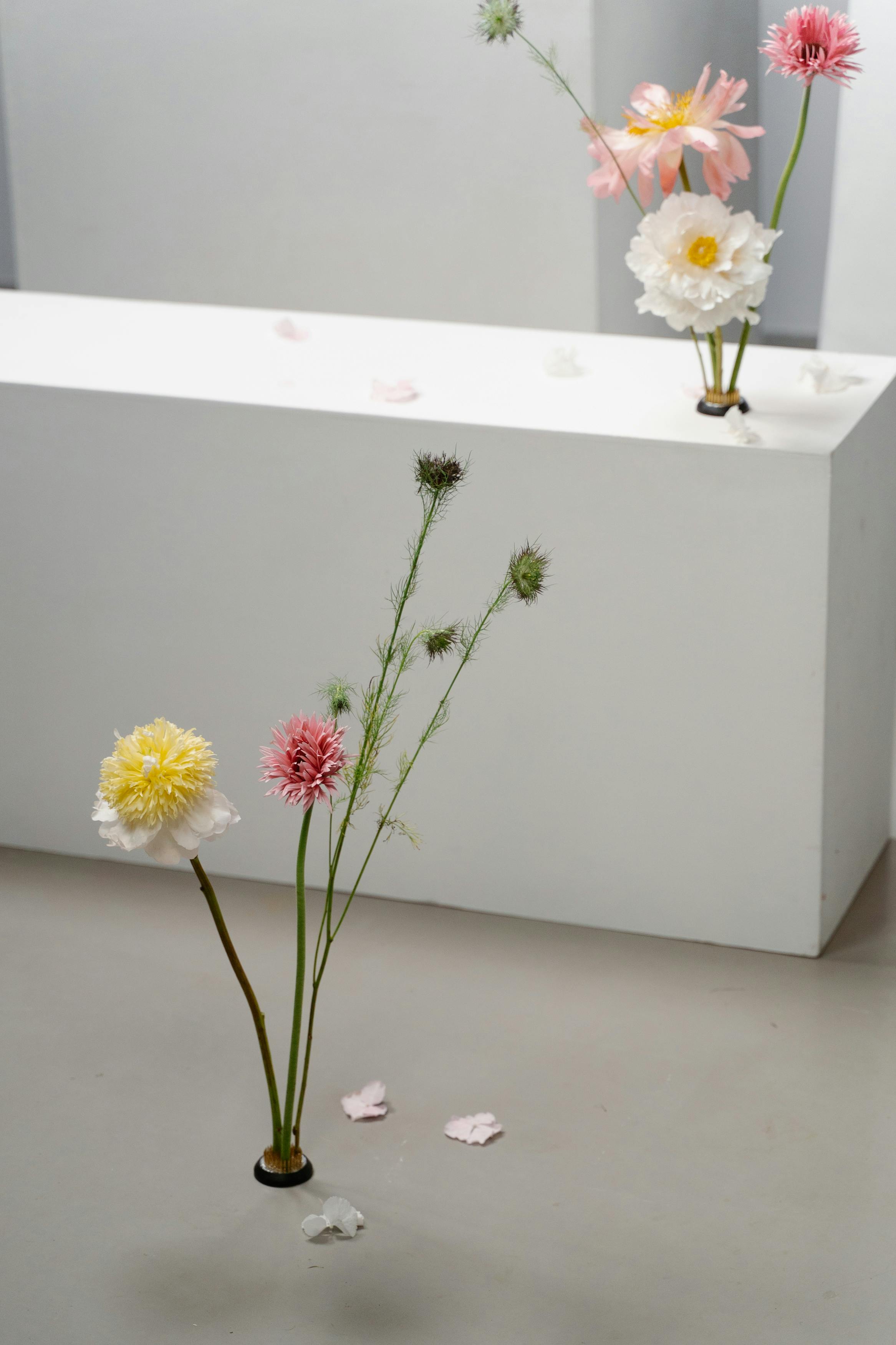 Assorted Flowers with Long Stems · Free Stock Photo