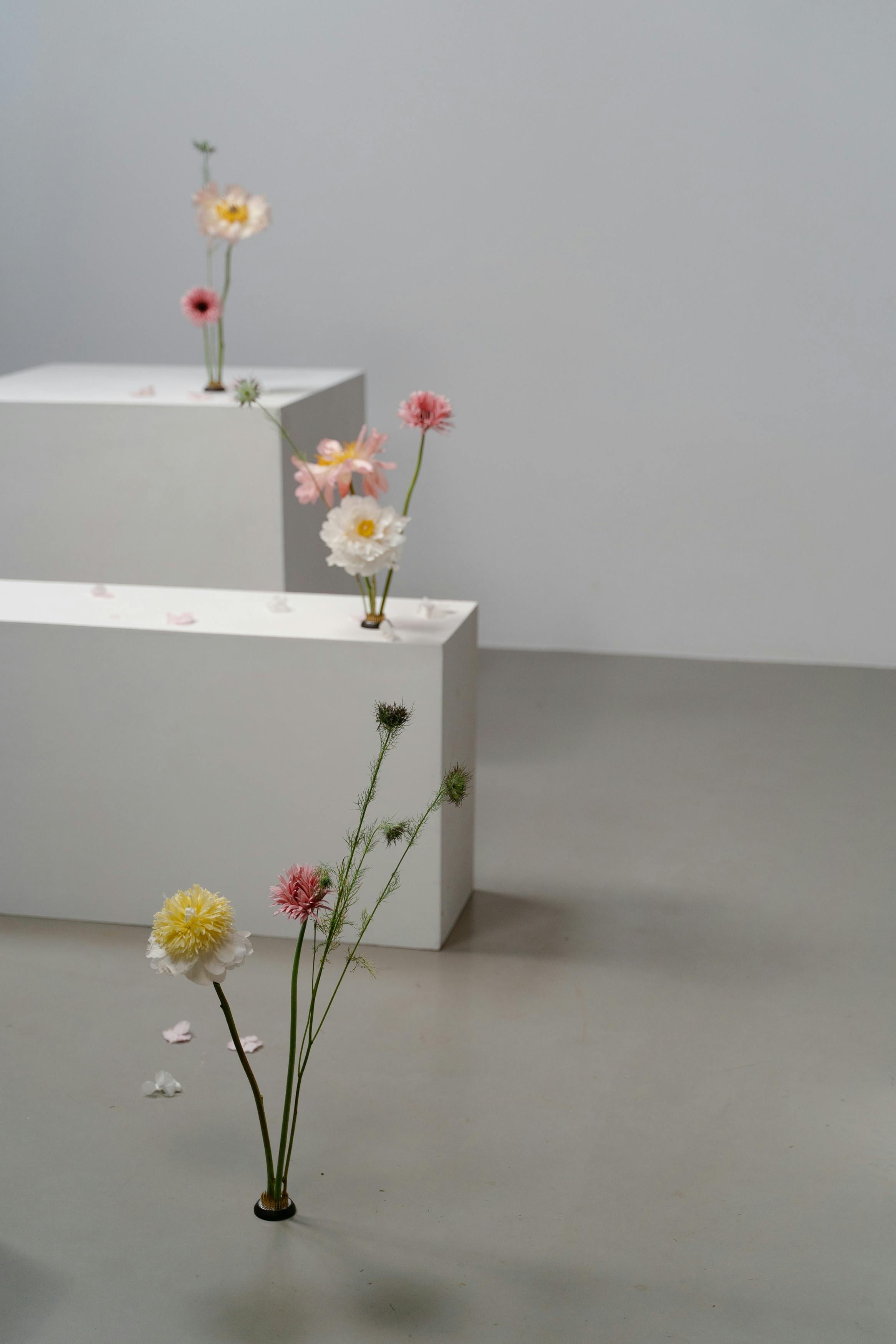 Negativespace Photos, Download The BEST Free Negativespace Stock Photos ...