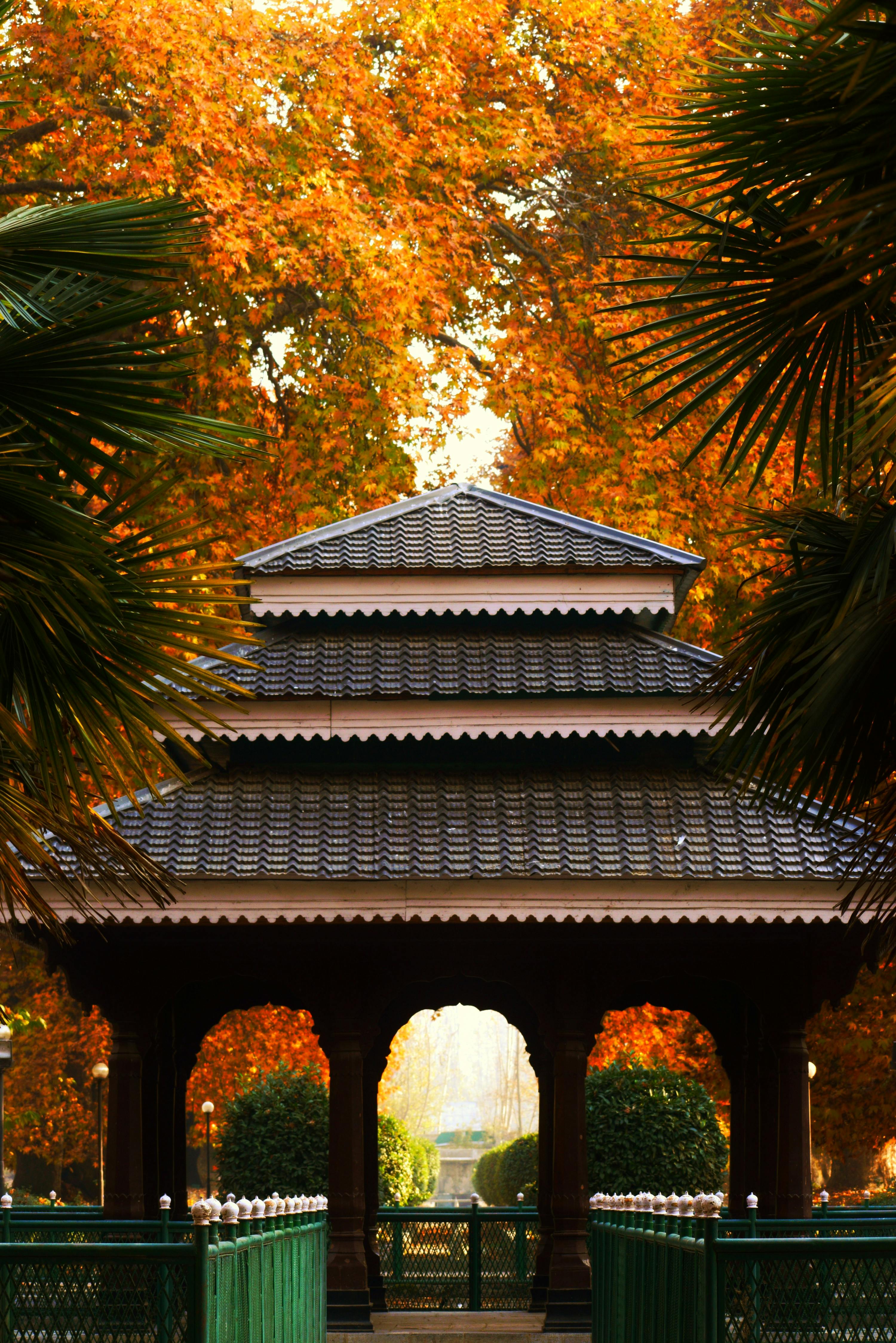 Autumn In India Photos, Download The BEST Free Autumn In India Stock ...