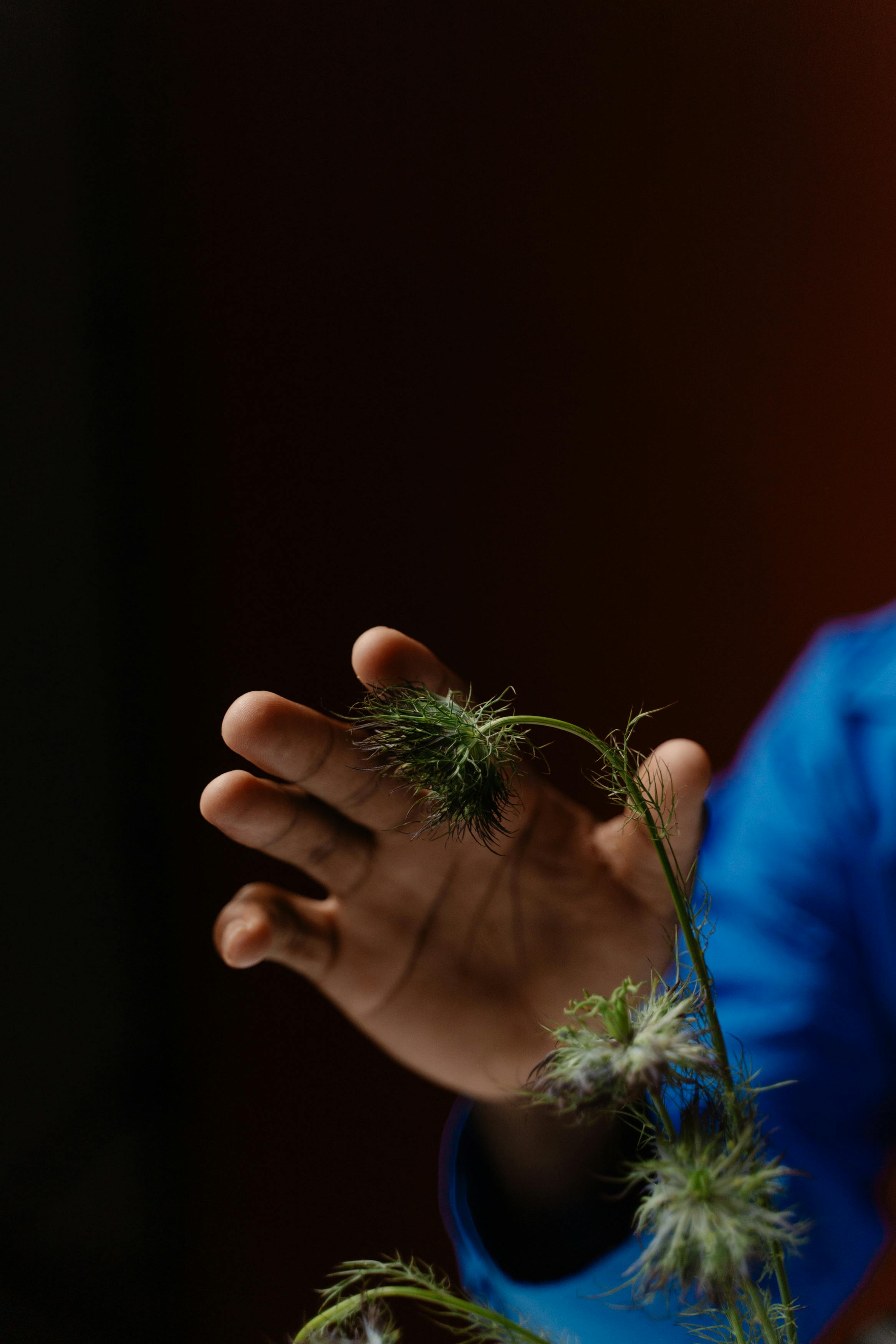 Touching Photos, Download The BEST Free Touching Stock Photos & HD Images