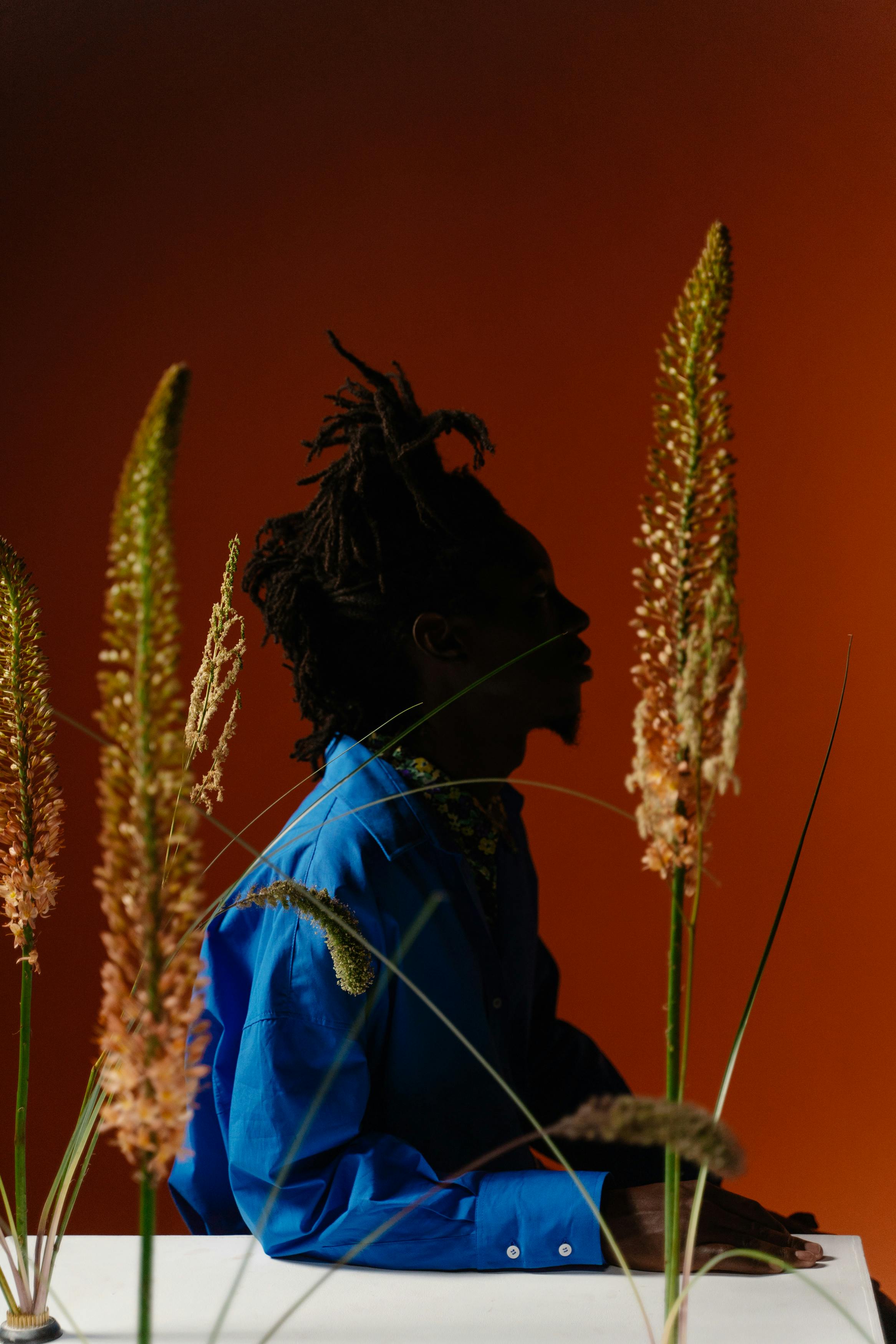 One Flower No Background Photos, Download The BEST Free One Flower No ...