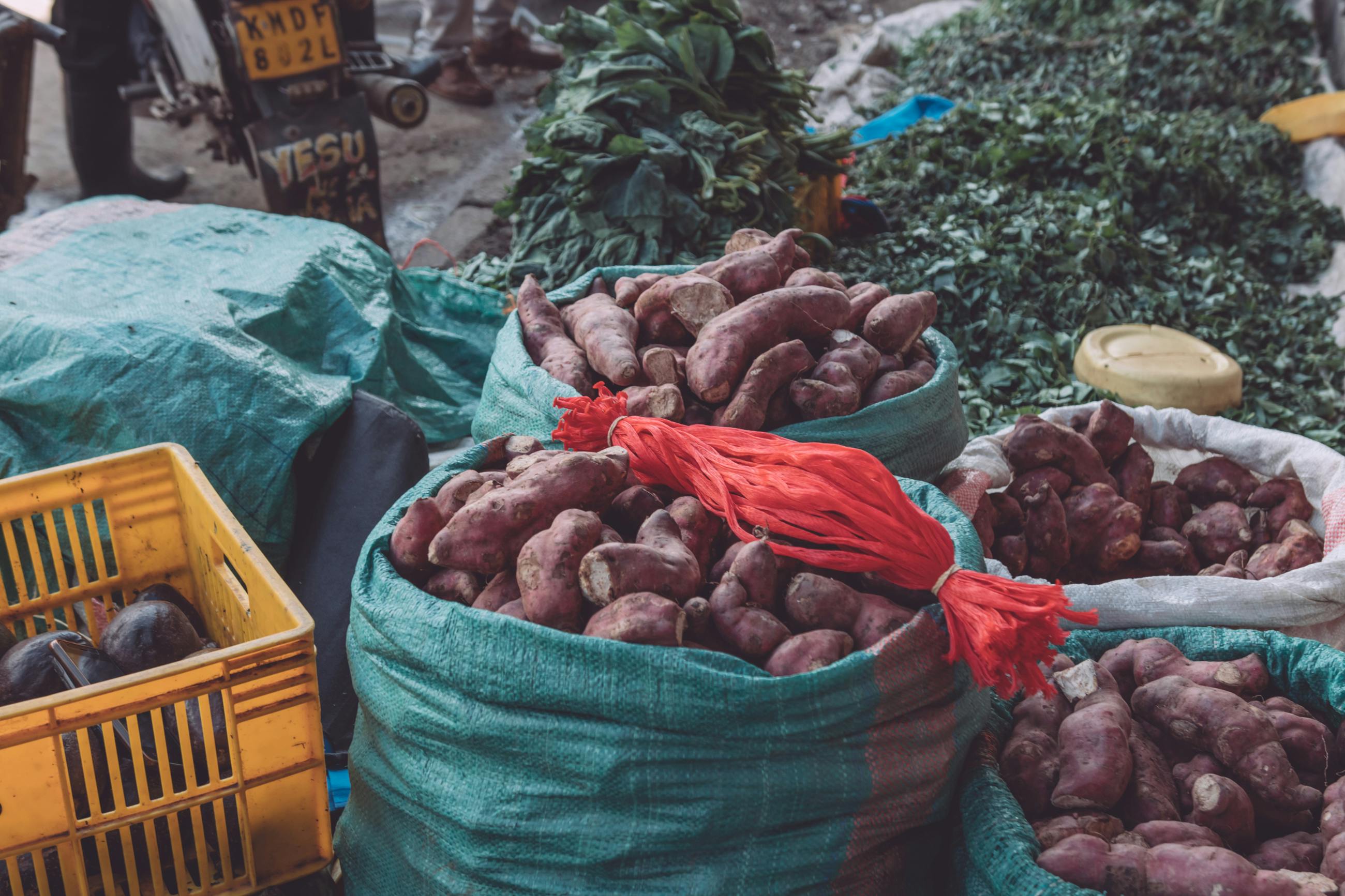 Sacks De Batata Photos, Download The BEST Free Sacks De Batata Stock ...