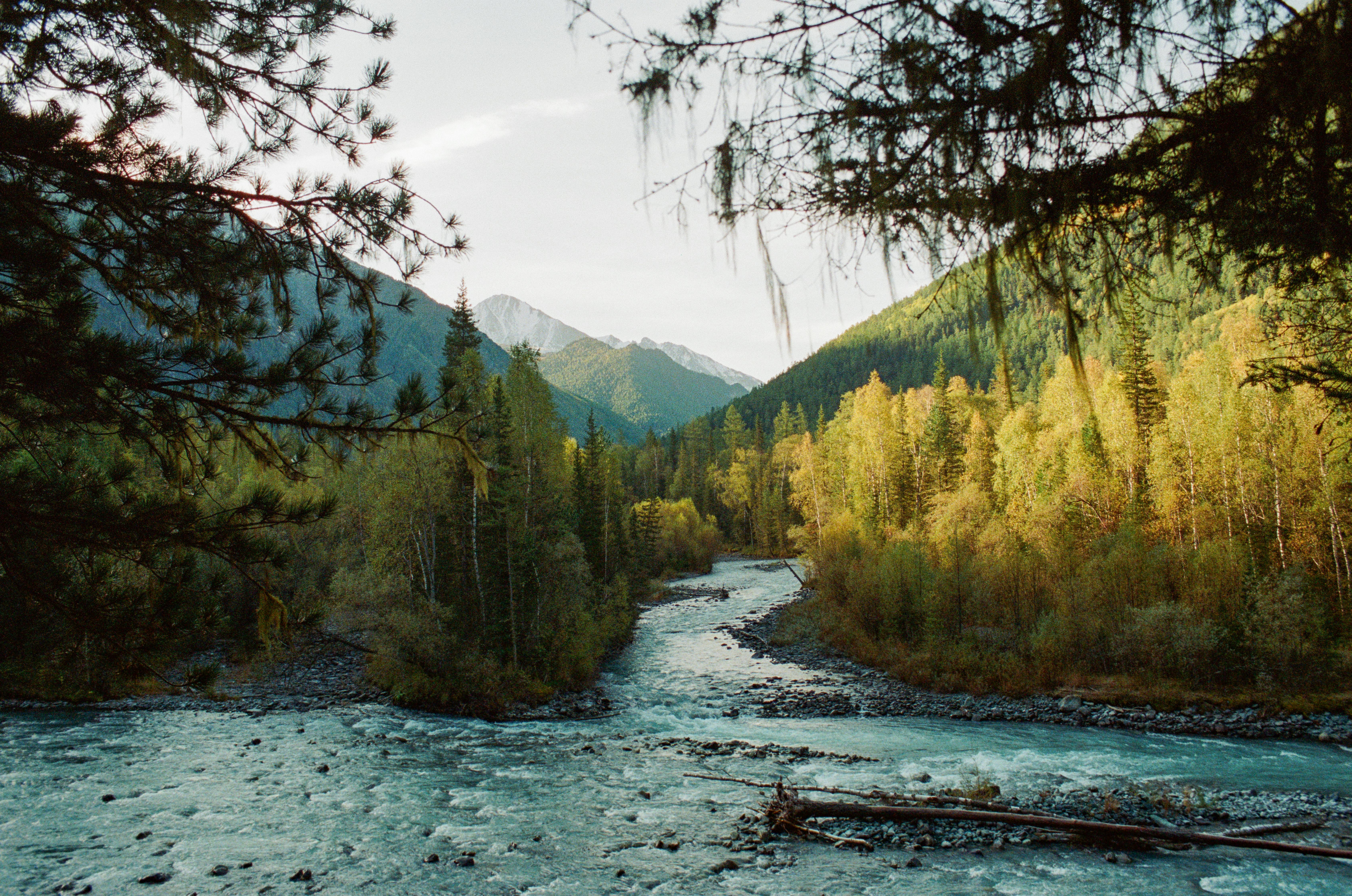 River in Forest in Valley · Free Stock Photo