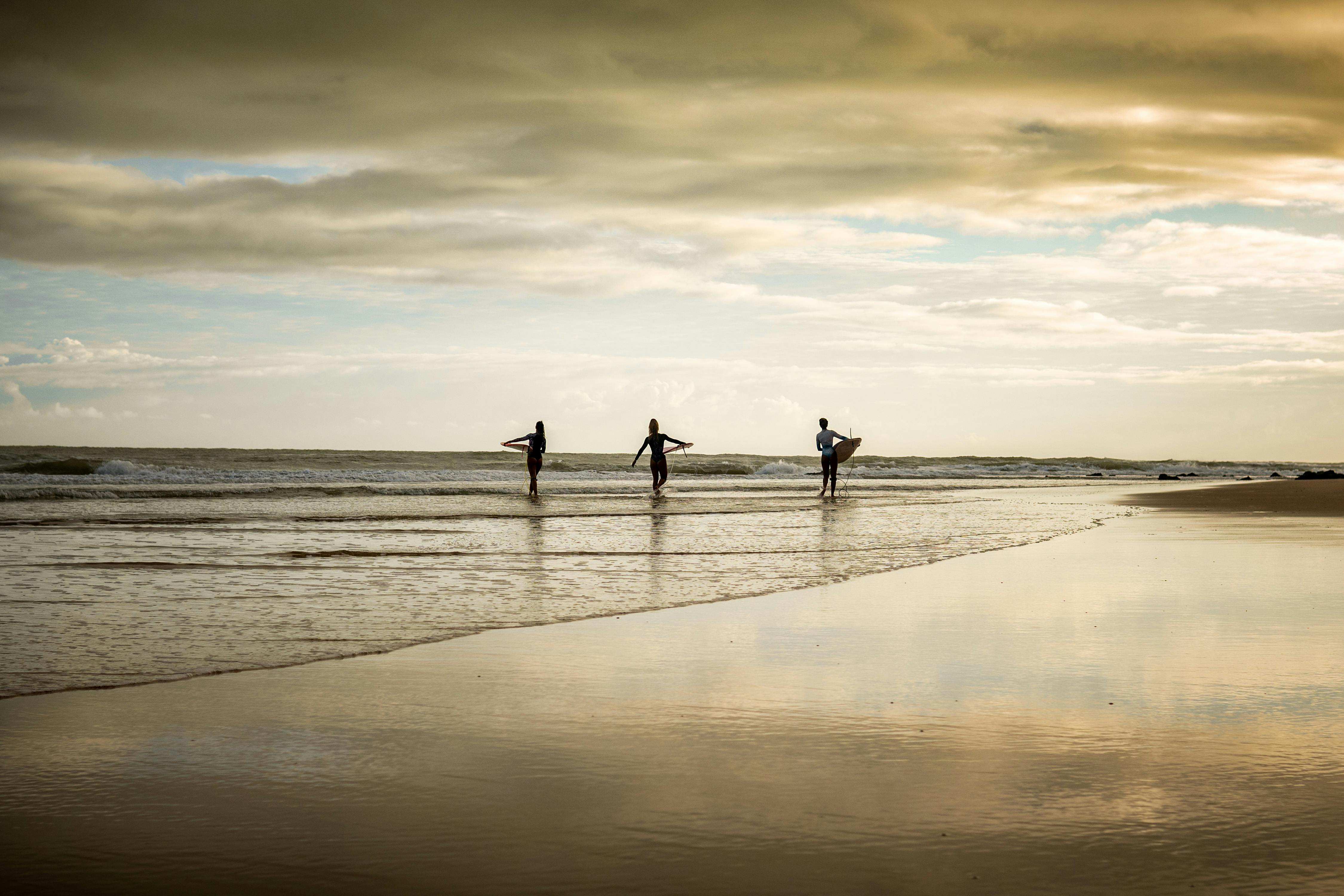 Rear View of Surfers on Beach · Free Stock Photo