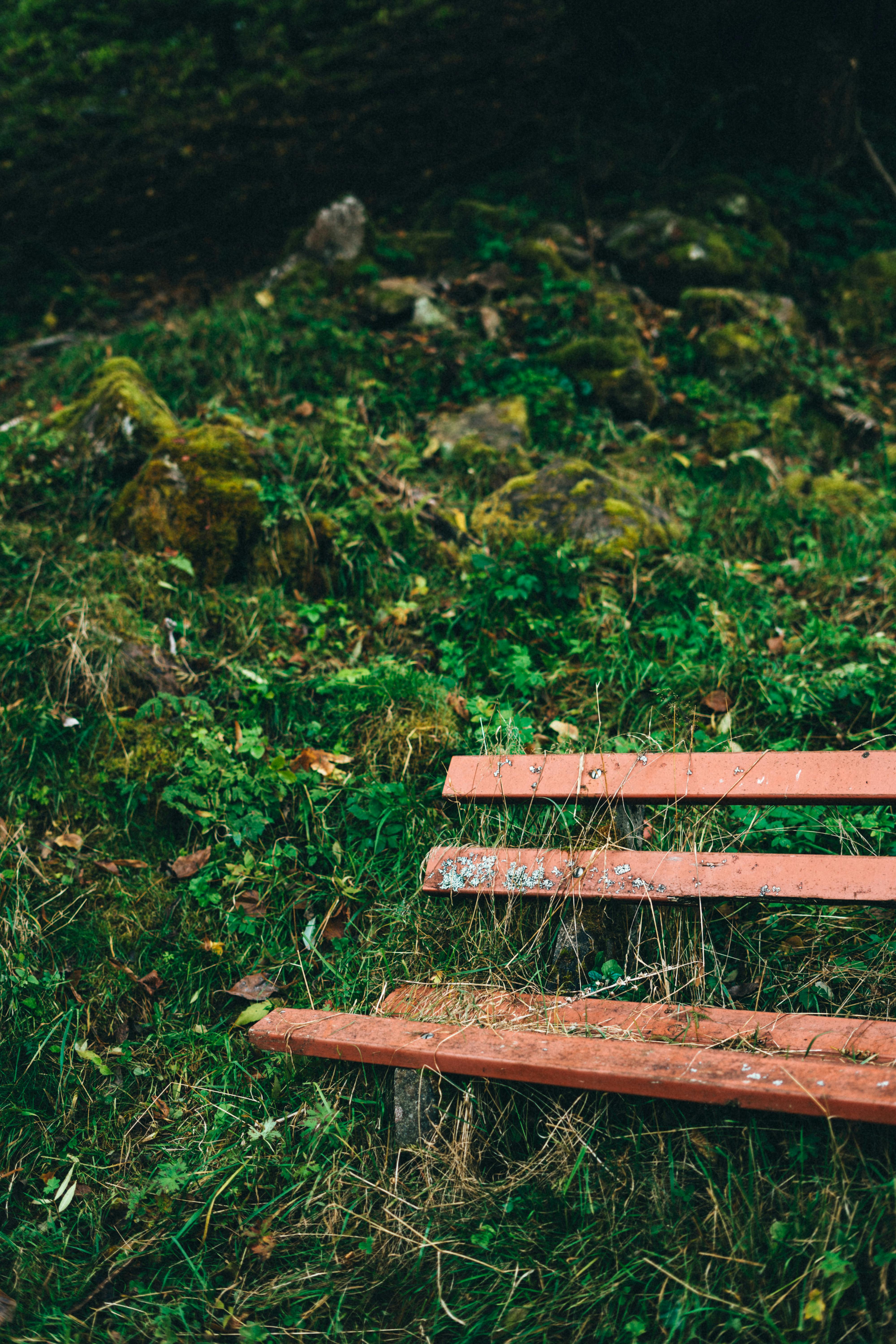 Brown Bench in Close Up Shot · Free Stock Photo