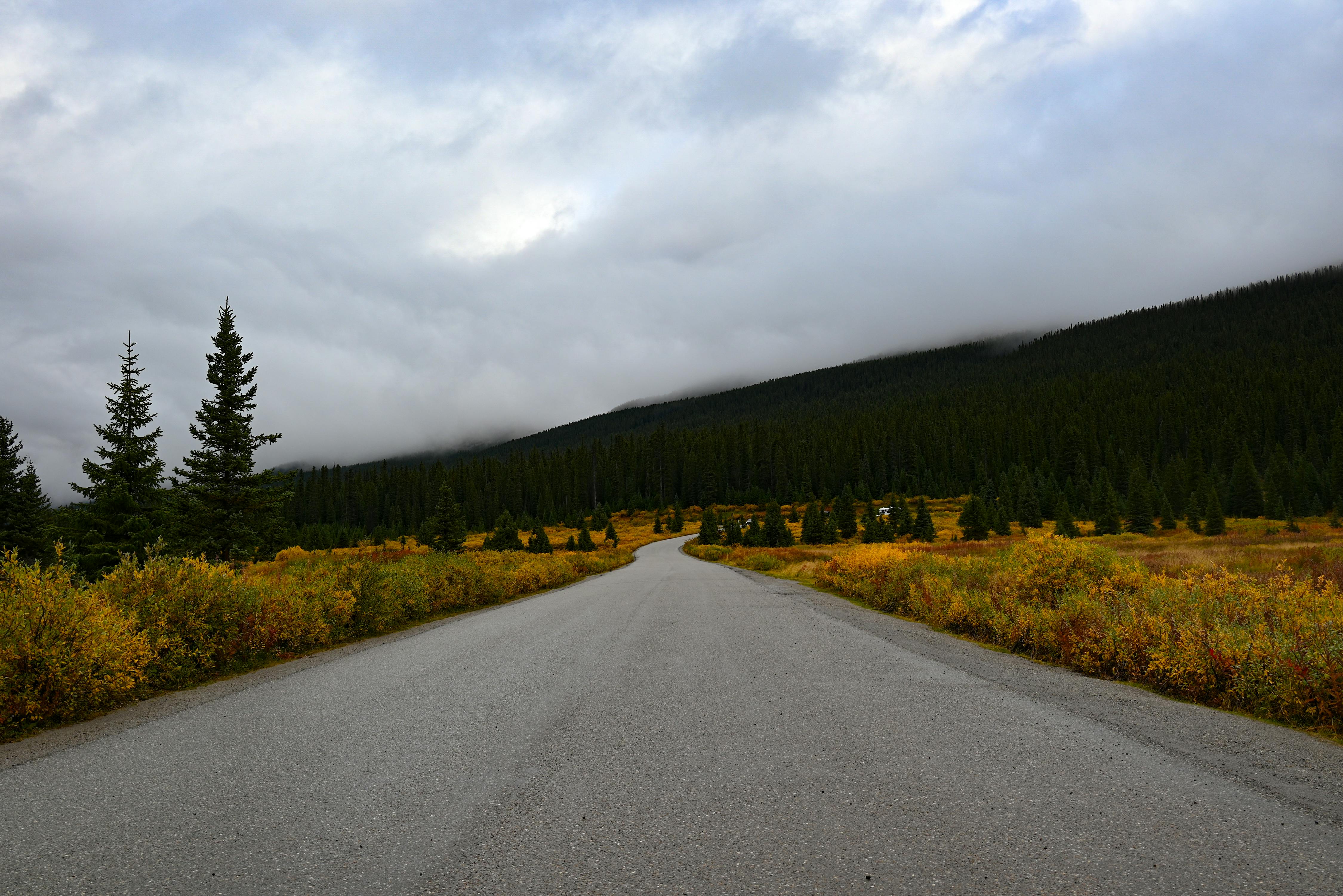 An Empty Road · Free Stock Photo