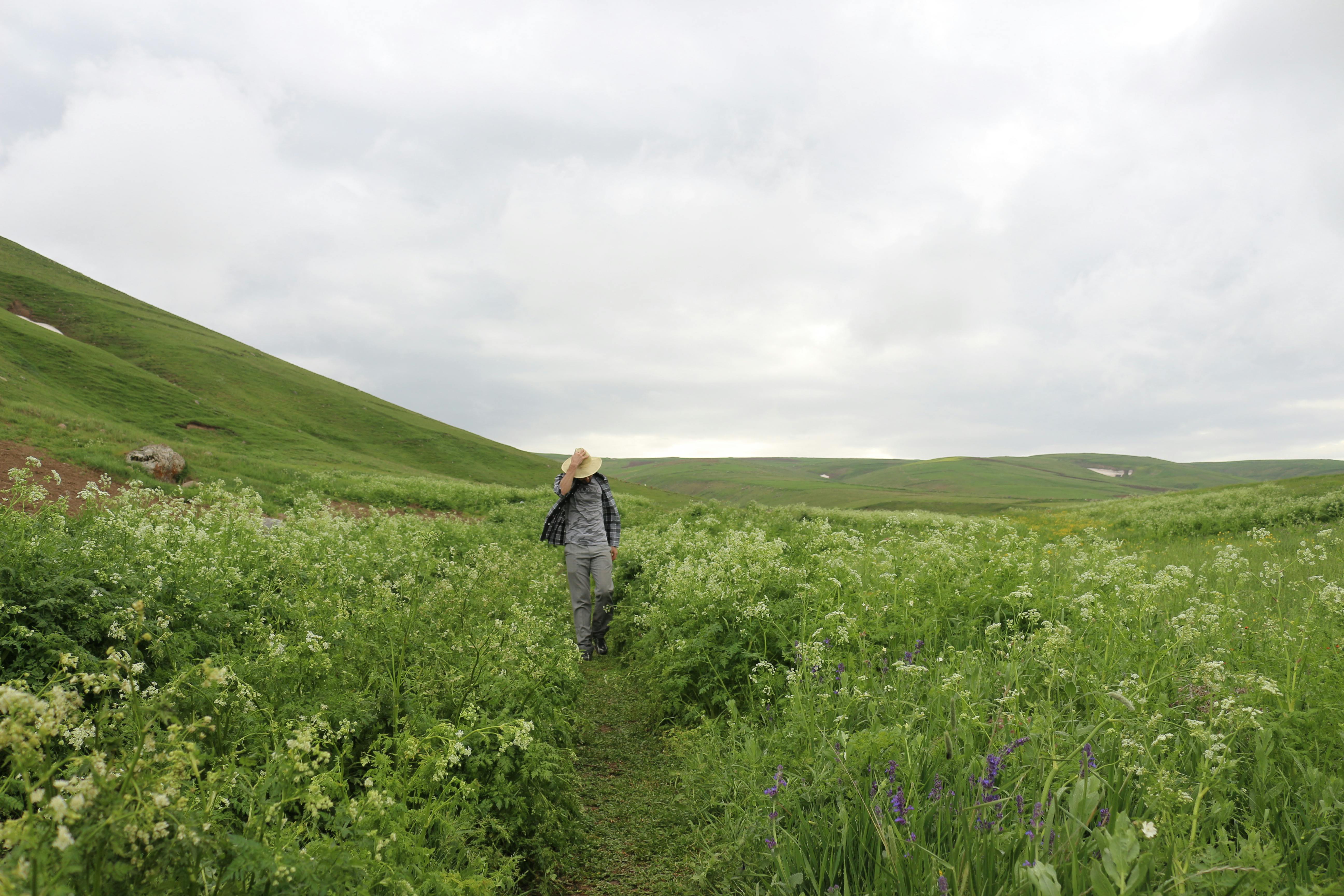 Person Walking on Green Grass Field · Free Stock Photo
