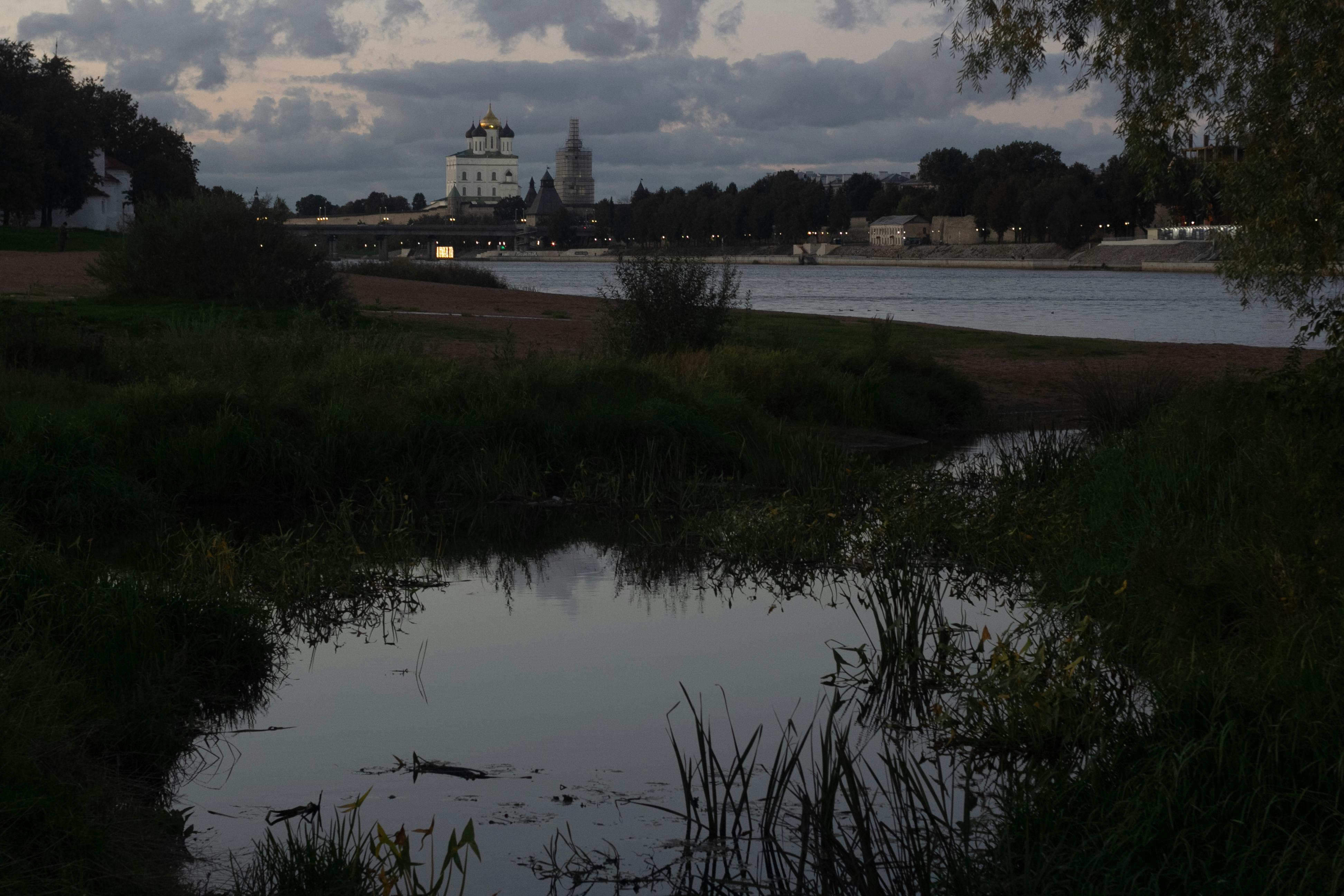 Vitis Amurensis Photos, Download The BEST Free Vitis Amurensis Stock ...