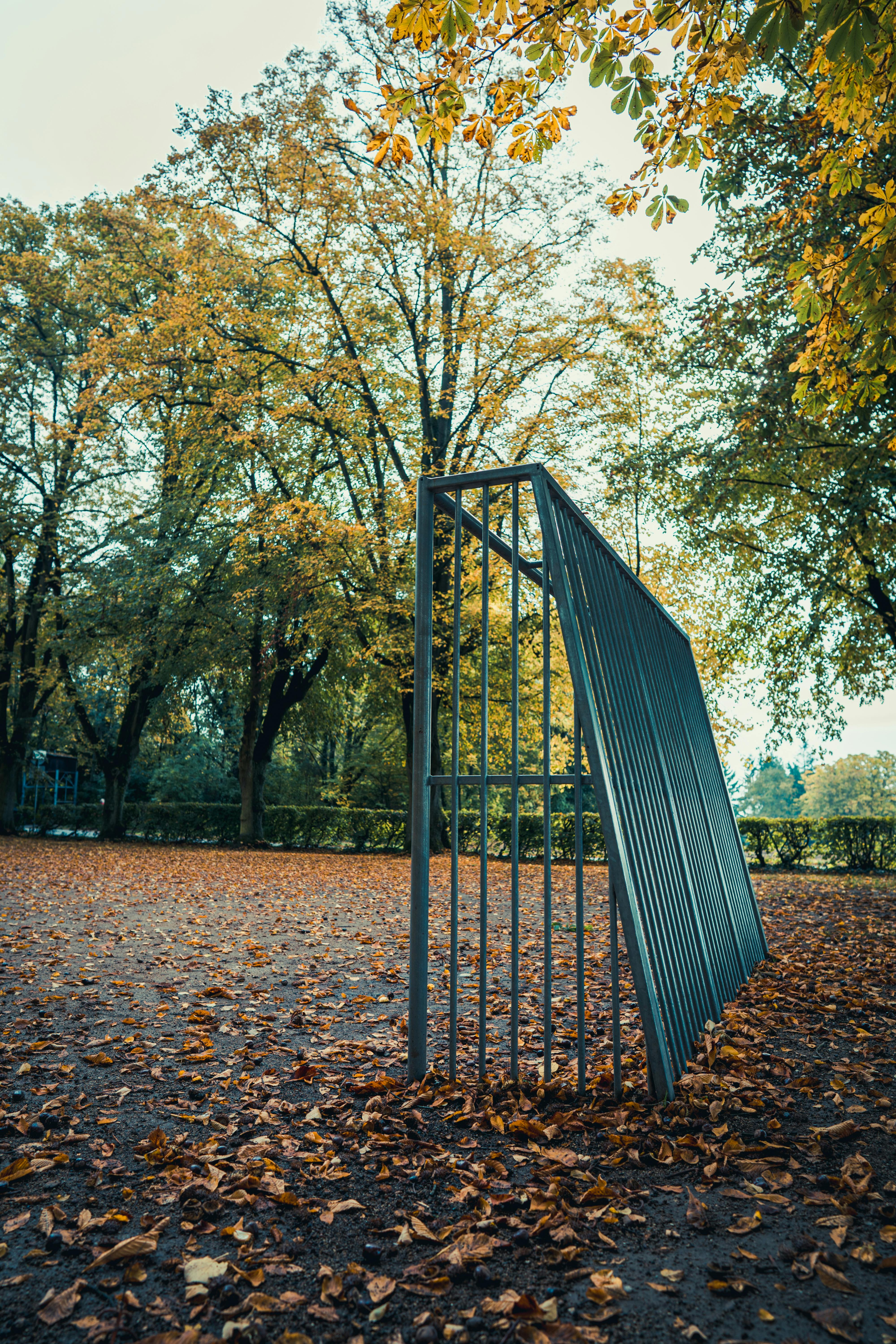 Black Metal Railings on the Street · Free Stock Photo