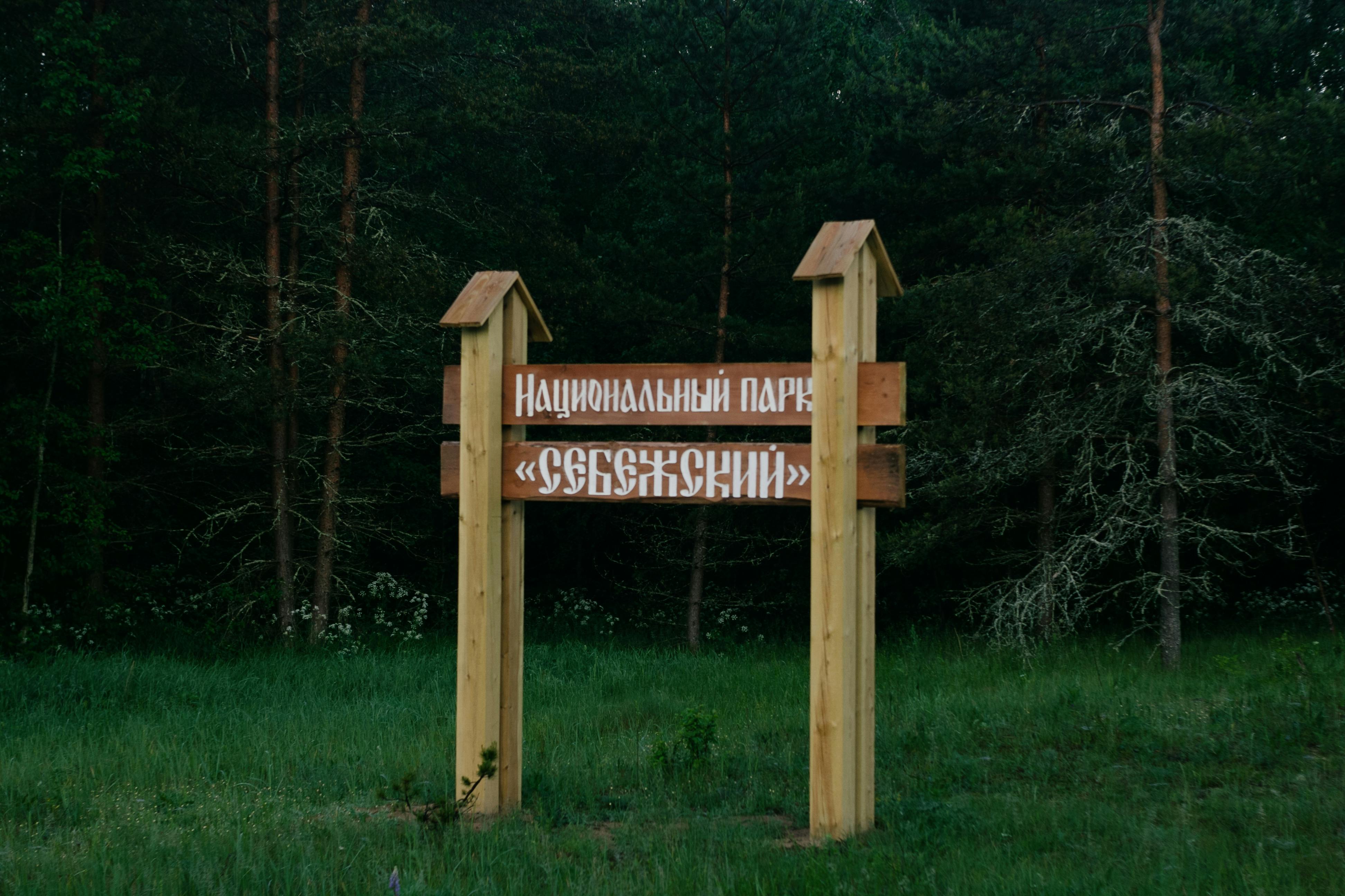 Wooden Signages in the Forest · Free Stock Photo