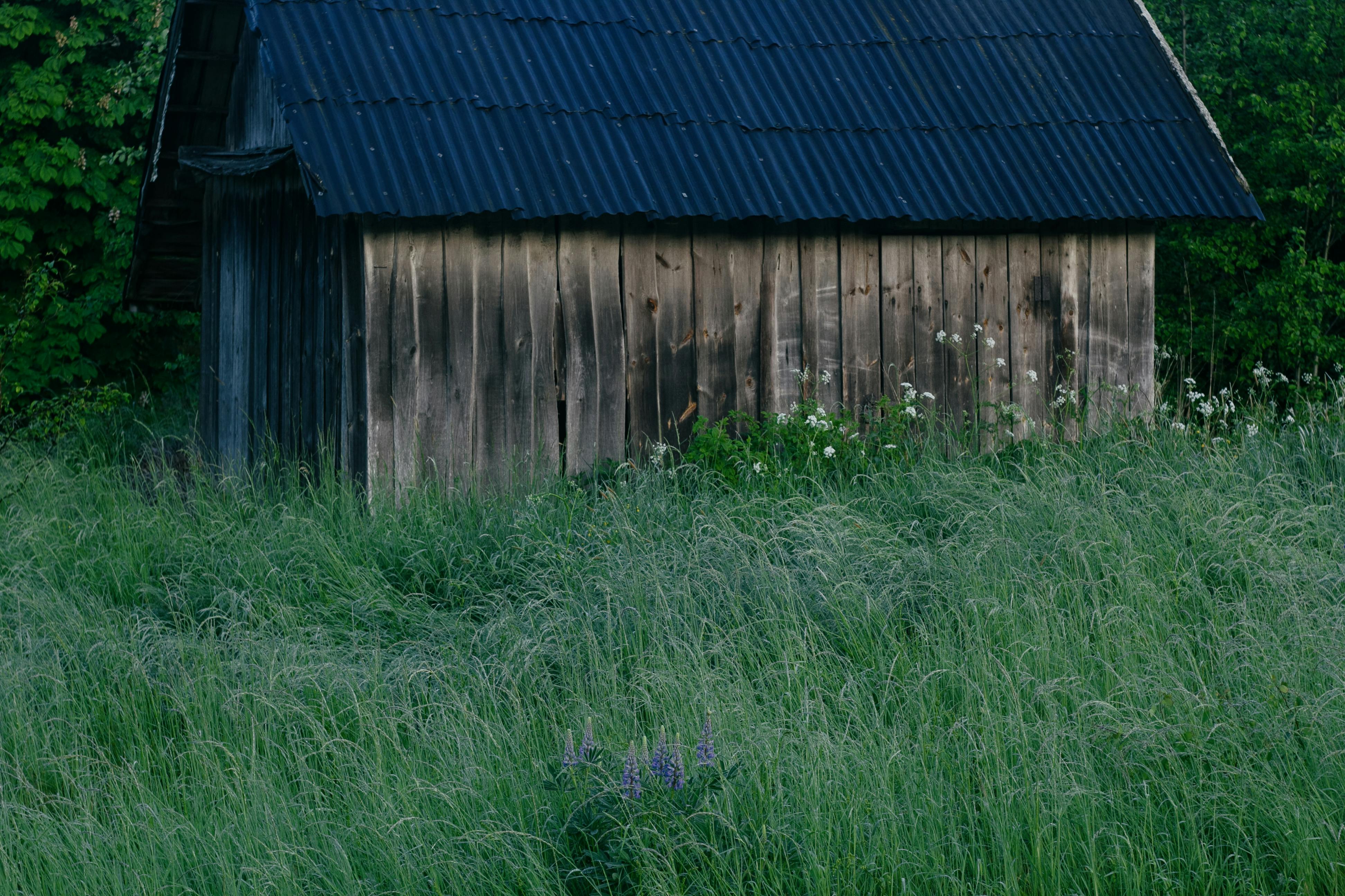 Wooden Shed on Grass · Free Stock Photo