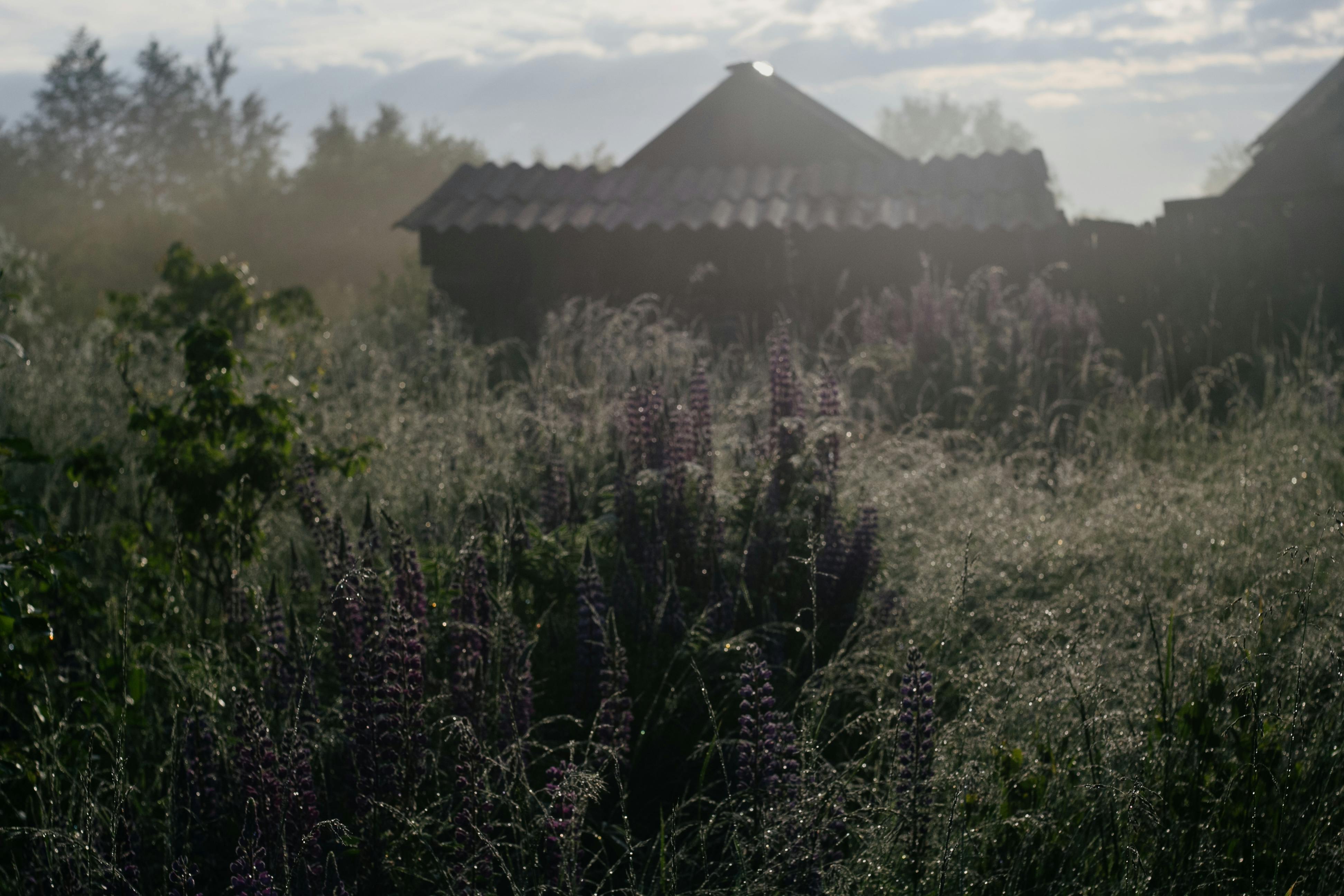 House At Green Field · Free Stock Photo