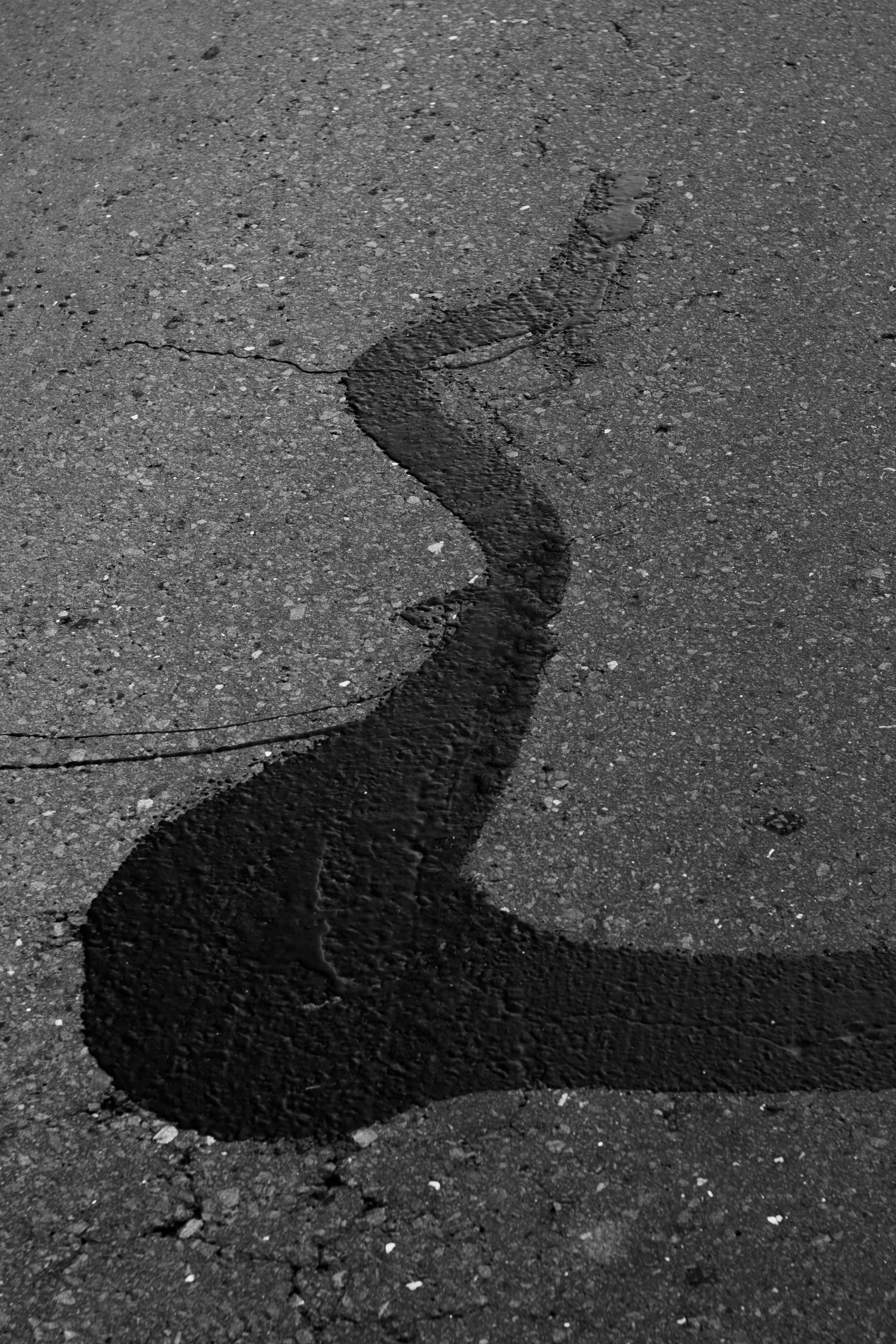 Tar Photos, Download The BEST Free Tar Stock Photos & HD Images