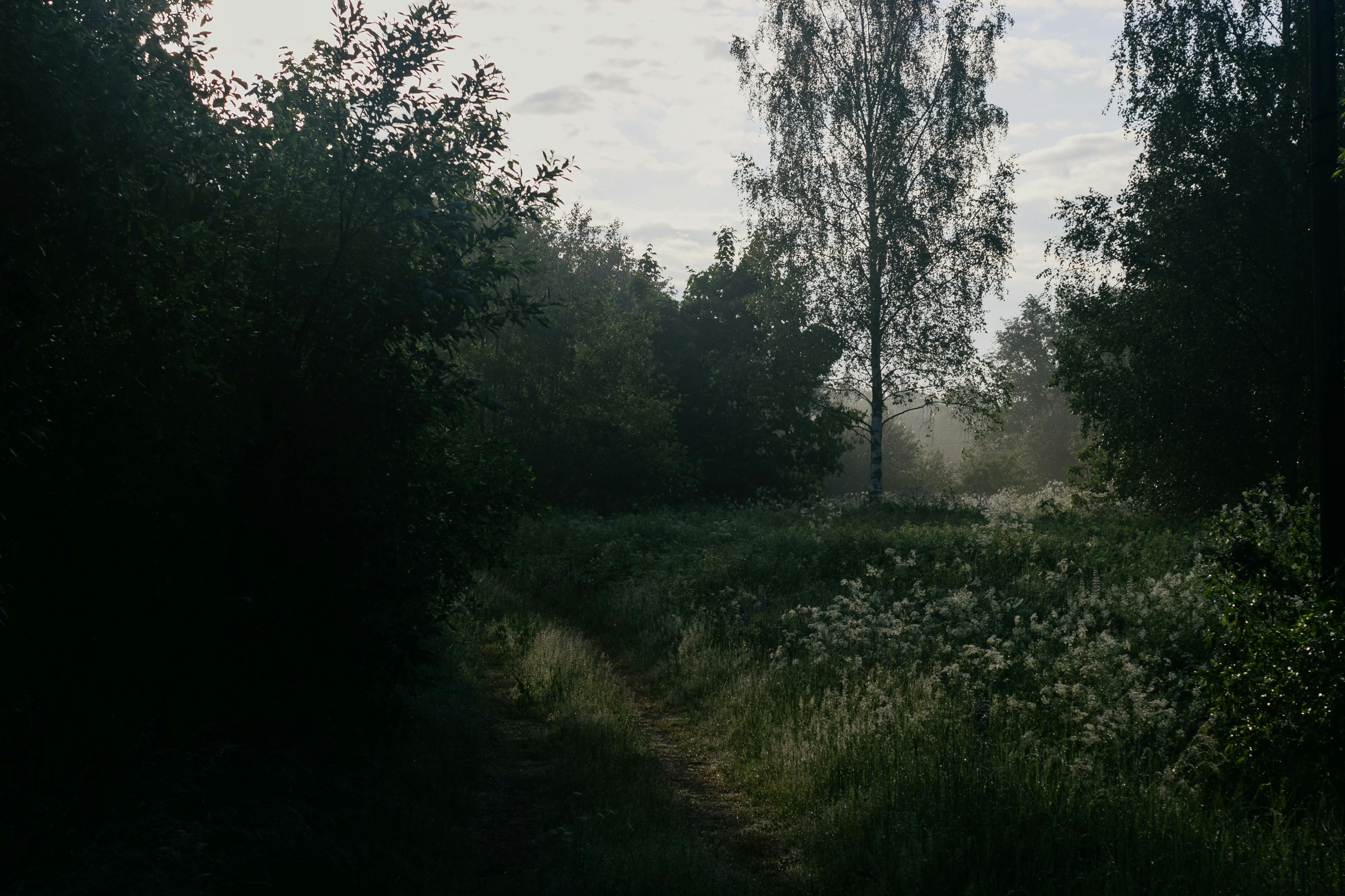 Photo of a Landscape with Destroyed Building · Free Stock Photo