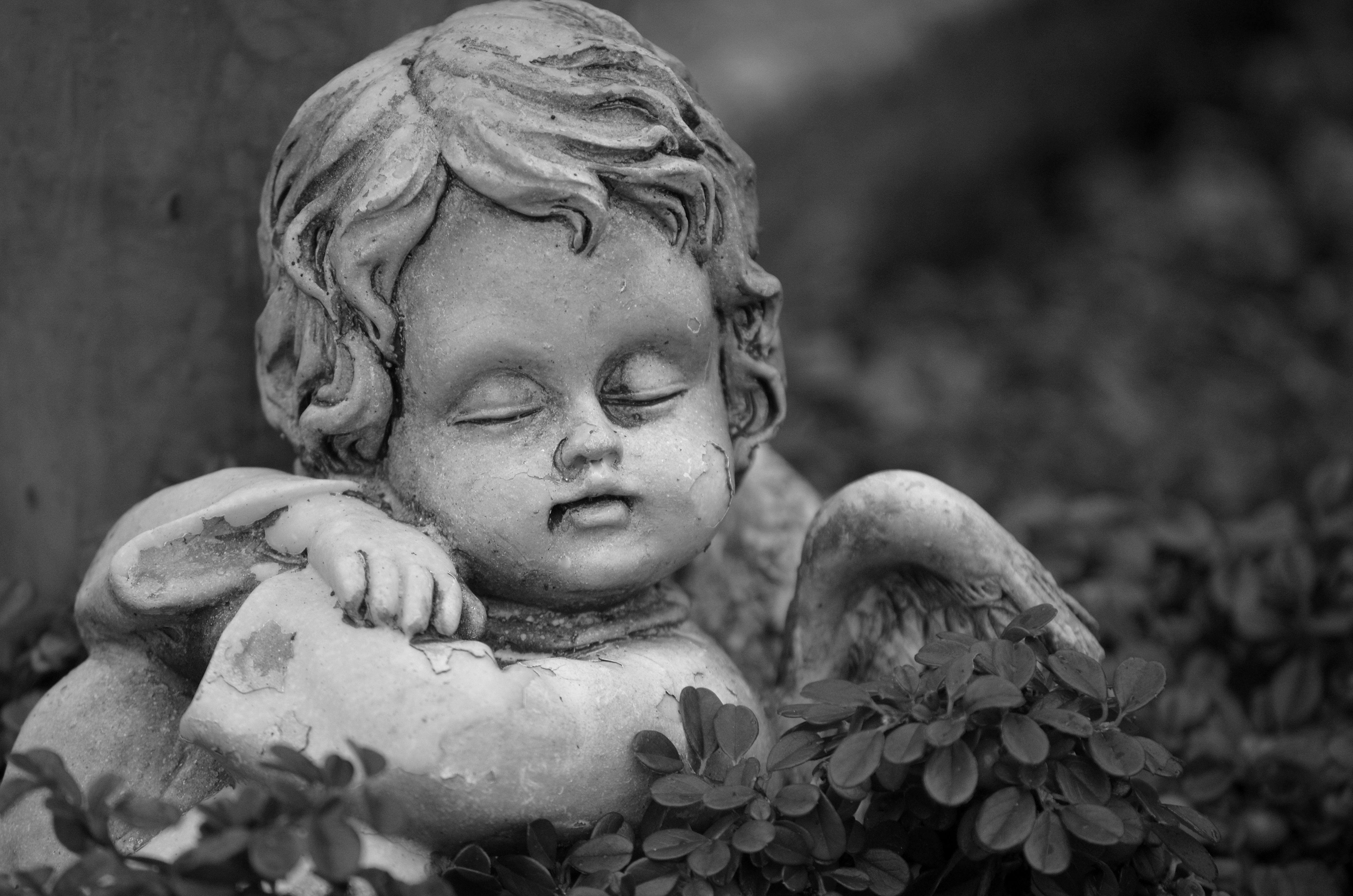 Close-up of Gargoyle Statue · Free Stock Photo