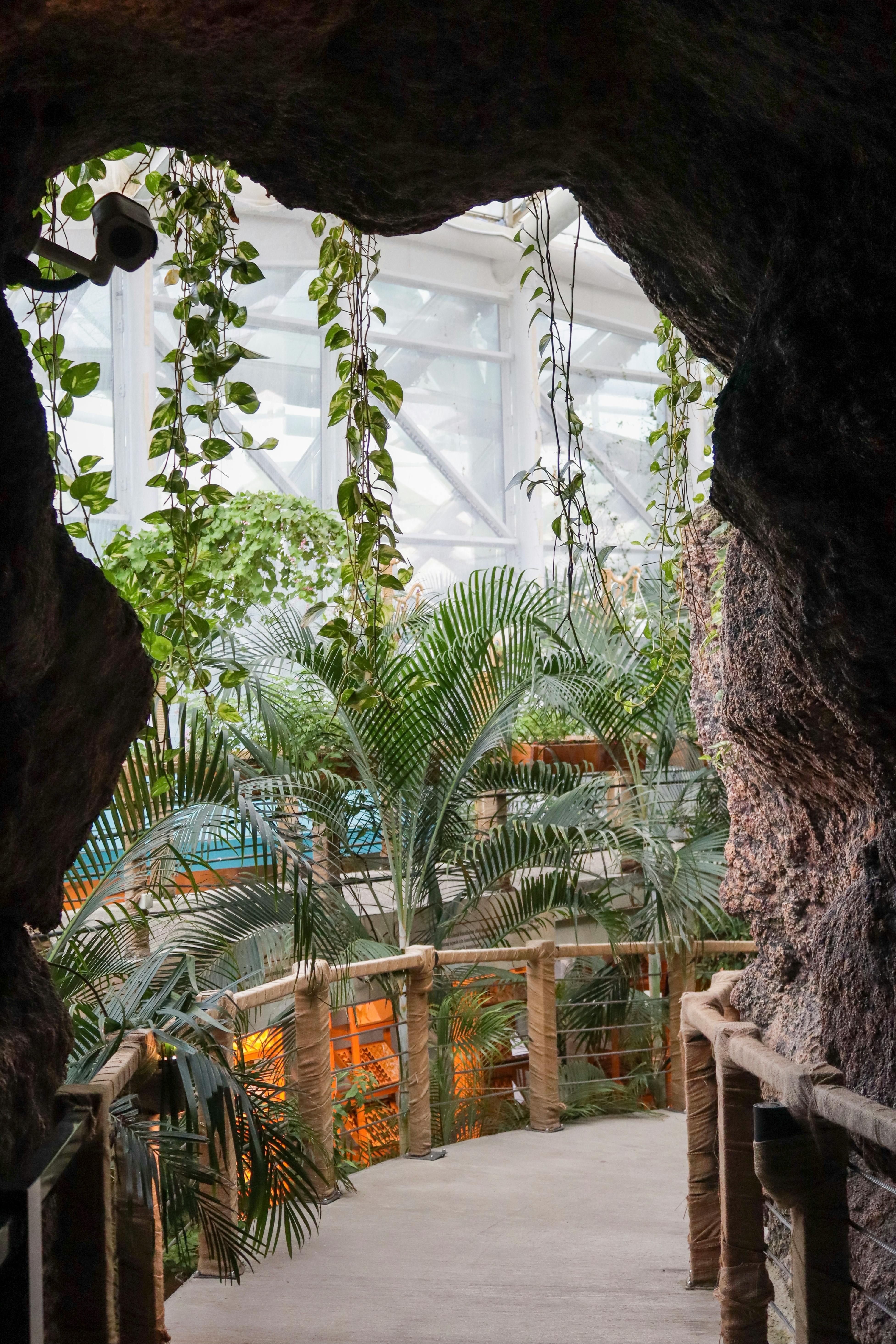 Cave Garden Photos, Download The BEST Free Cave Garden Stock Photos ...