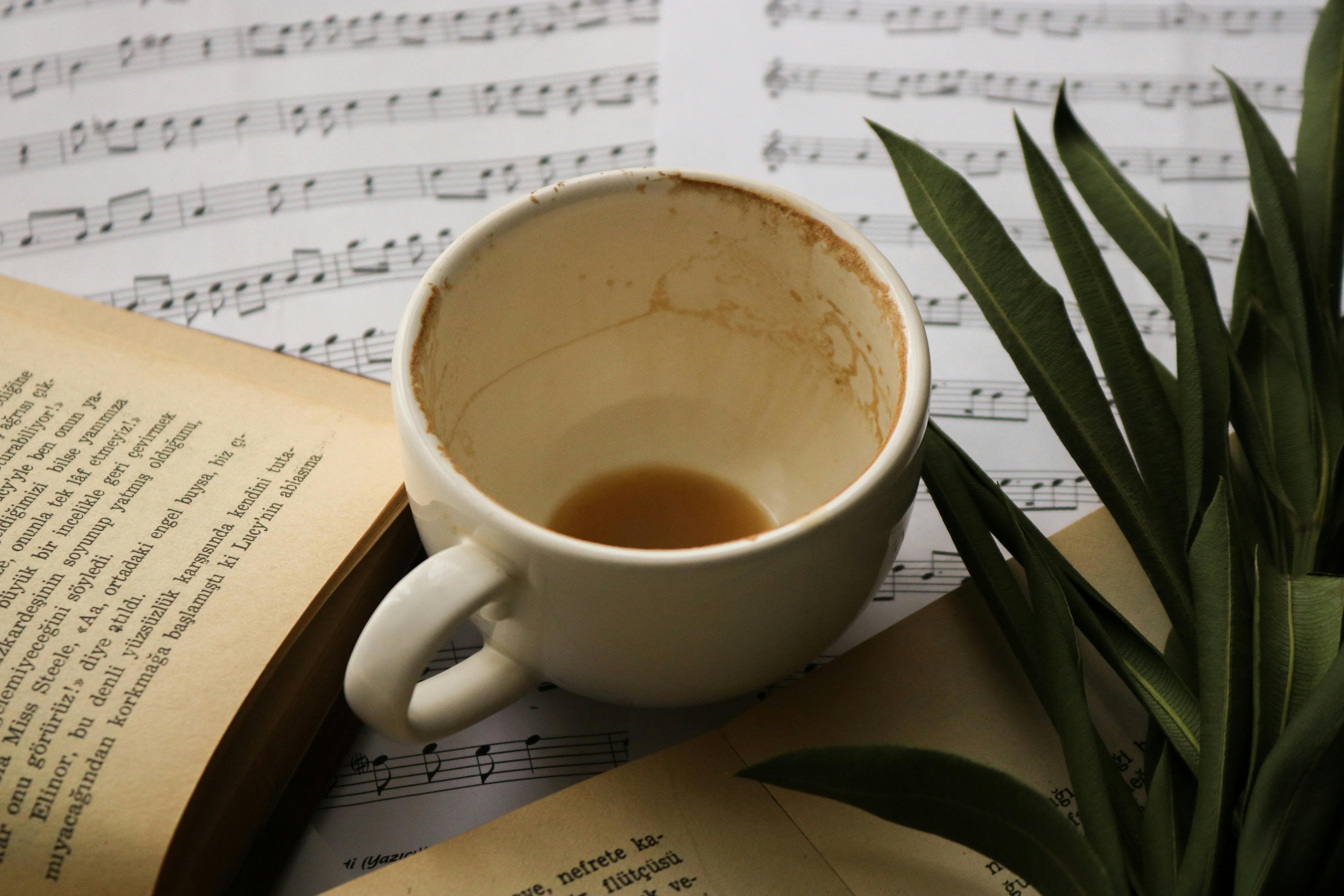 Tea in Cup, Music Sheet and Flowers · Free Stock Photo