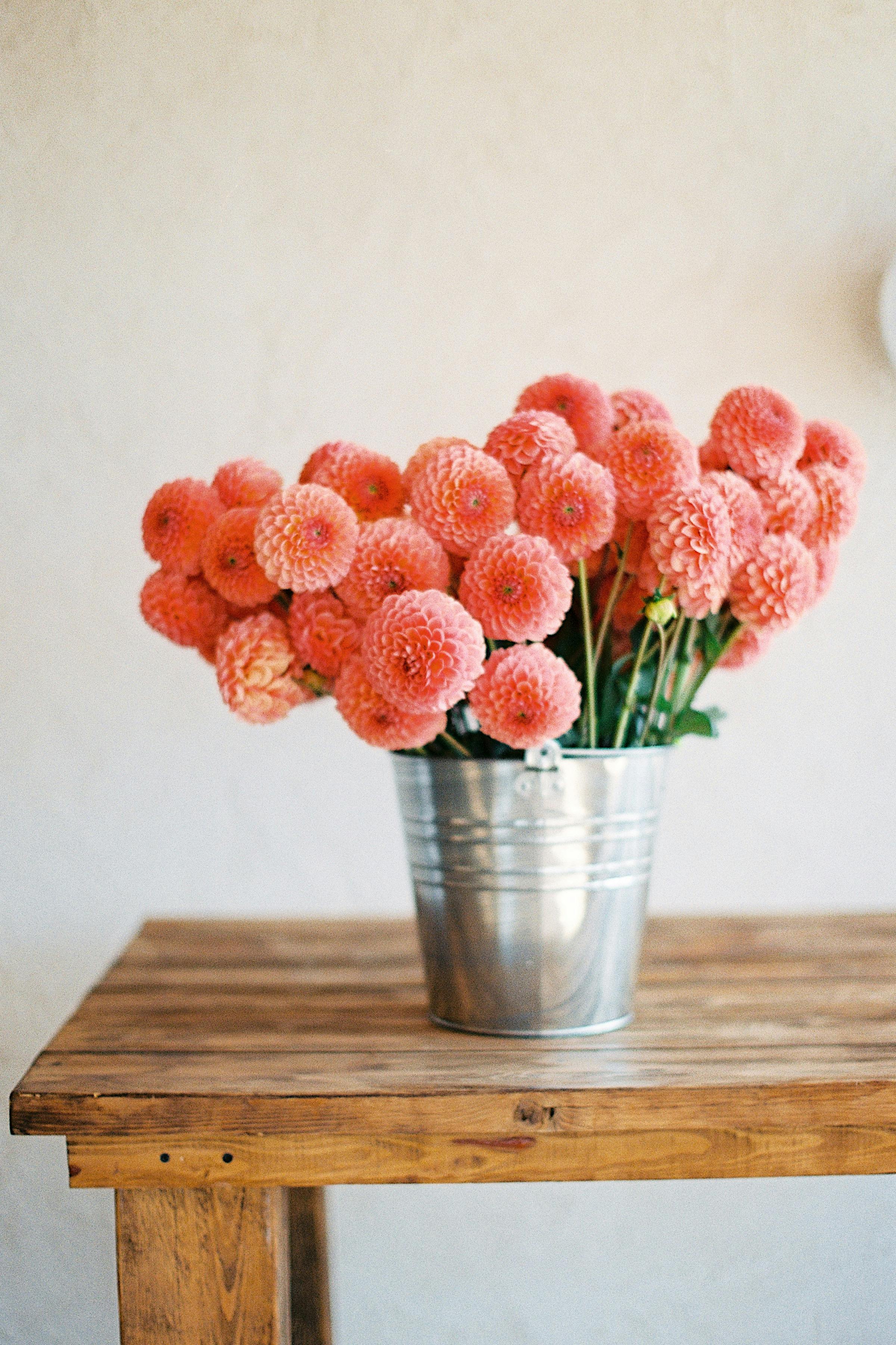 1,000+ Best Bucket Photos · 100% Free Download · Pexels Stock Photos