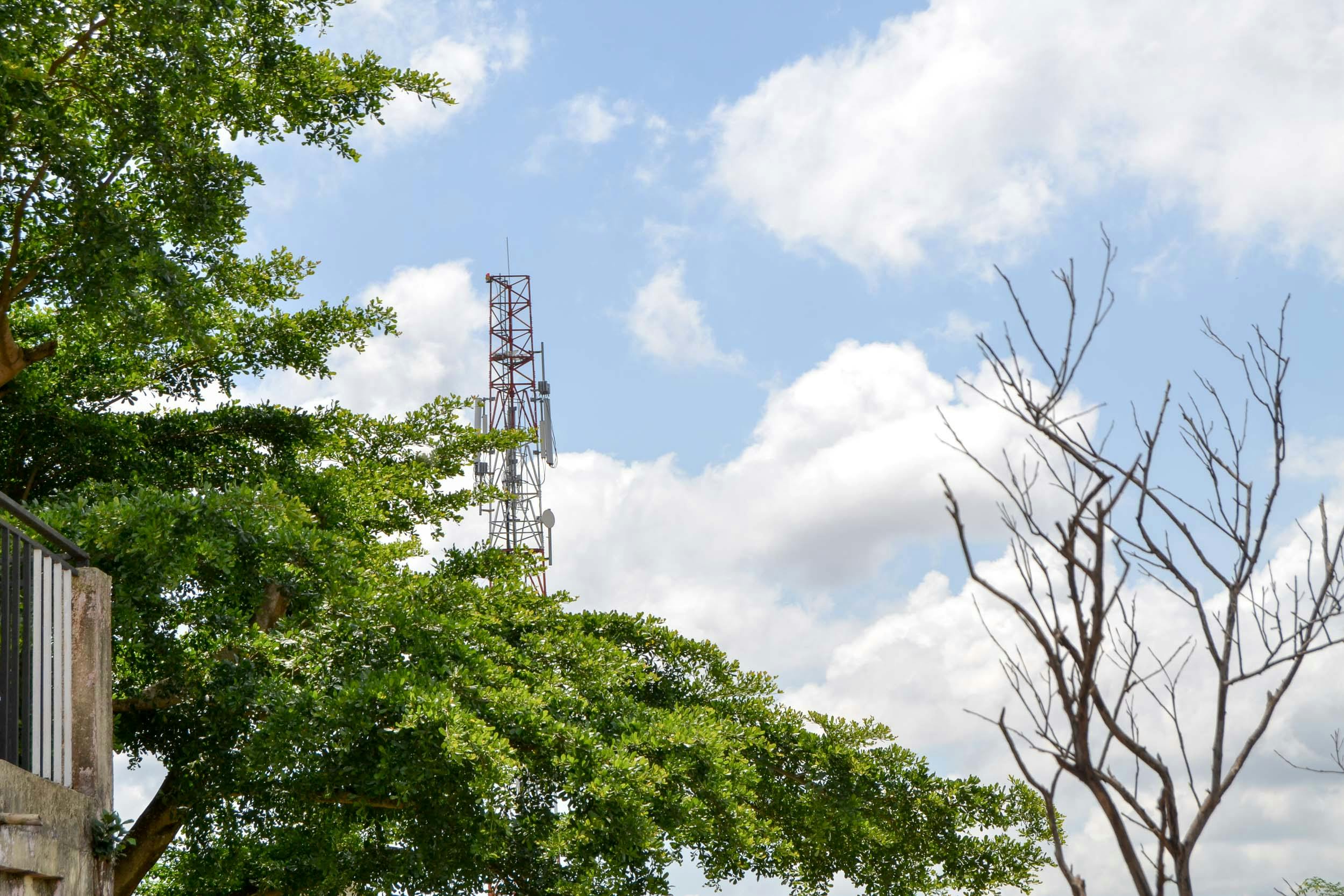 Free stock photo of building, buildings, cities