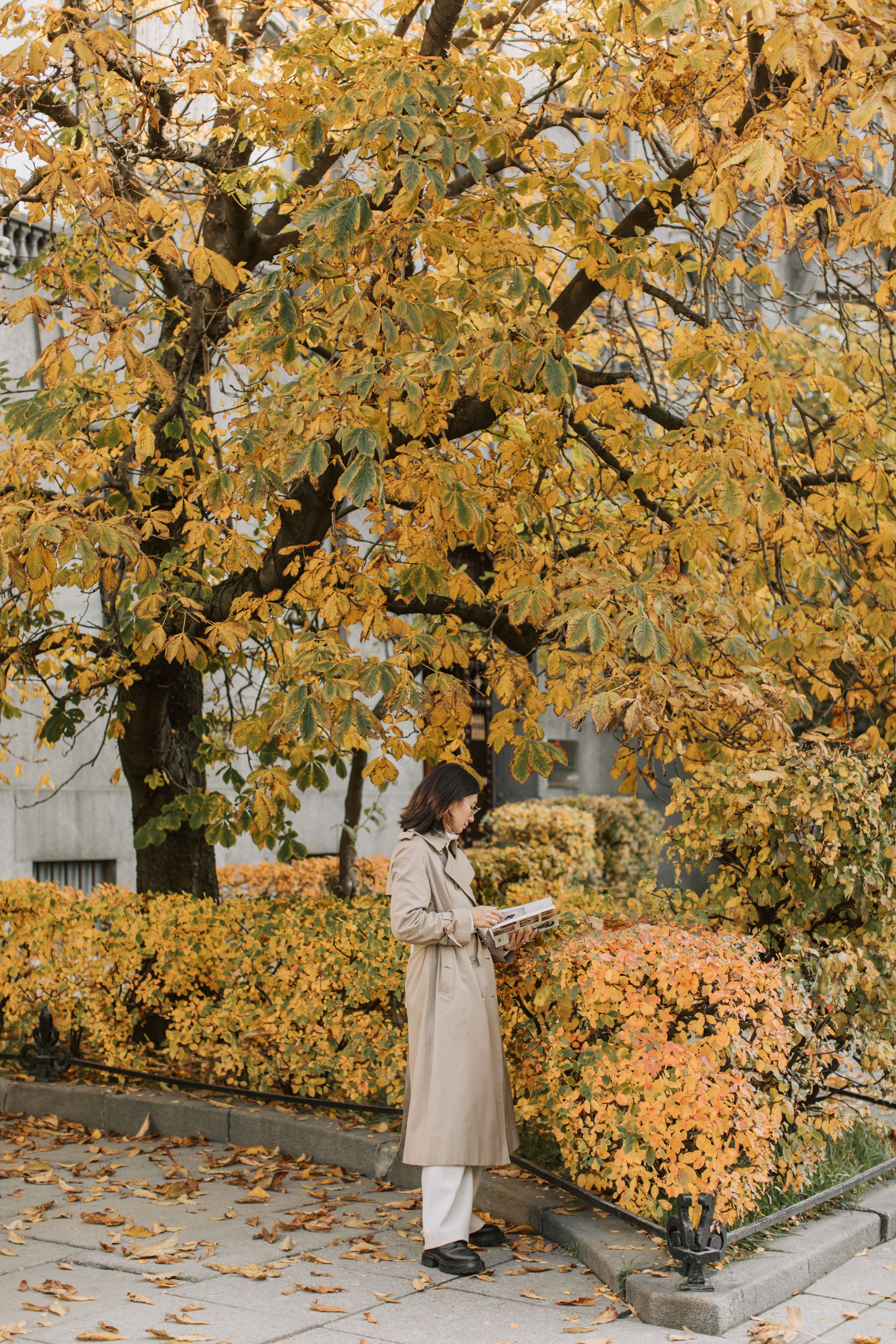 A Woman Standing Under a Tree · Free Stock Photo