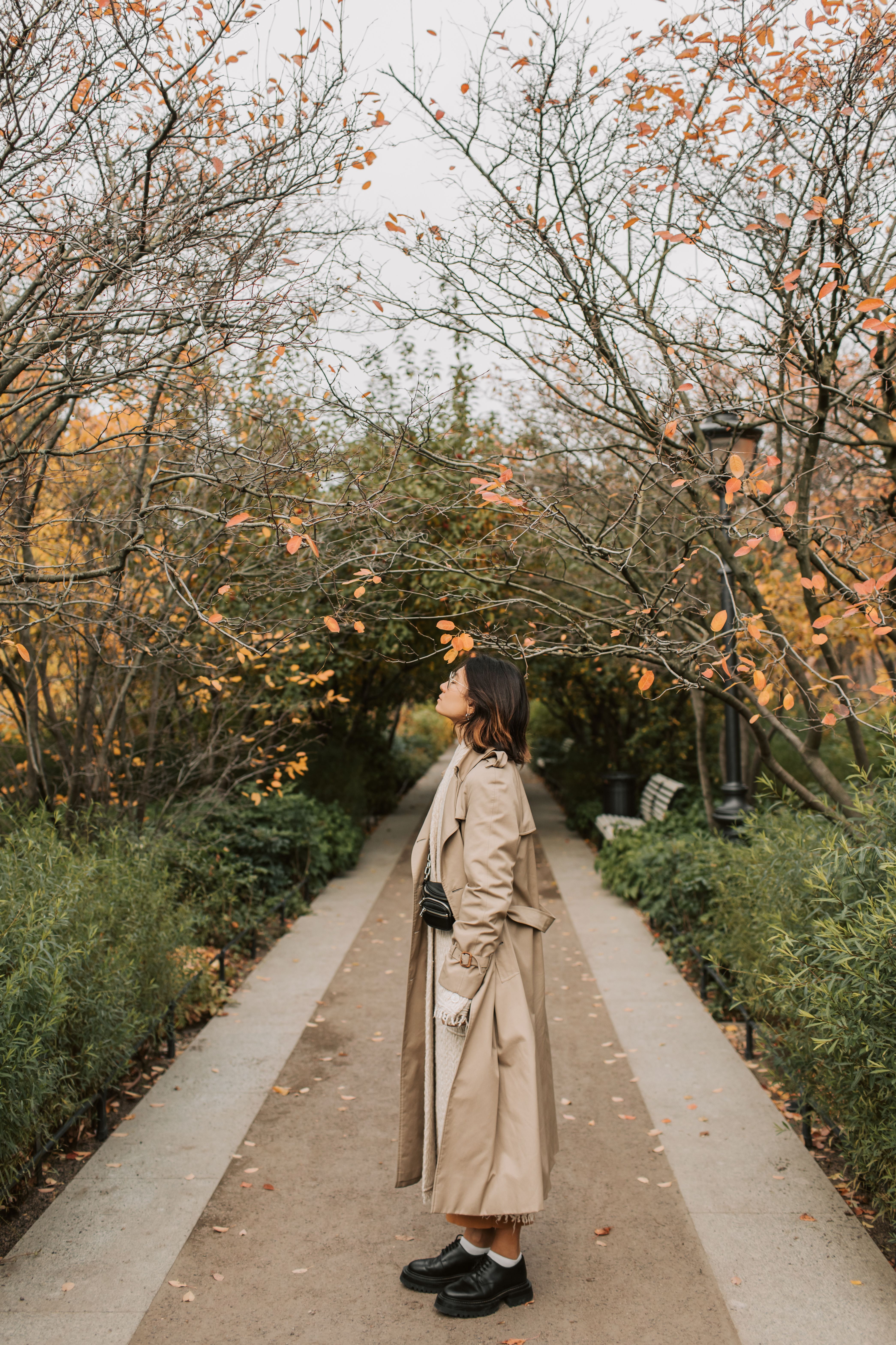 Paved Pathway Near Green Plants and Trees · Free Stock Photo