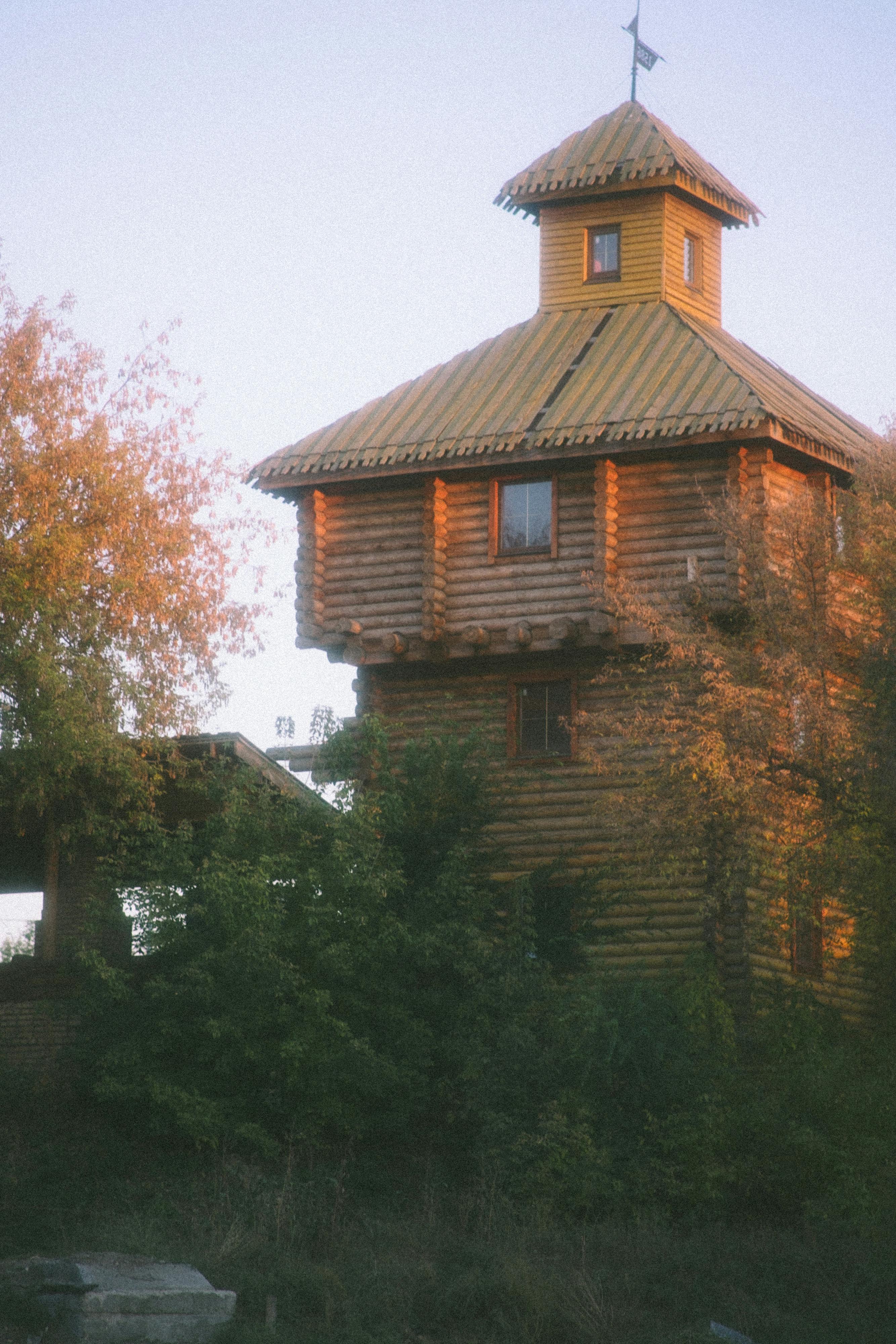 A Wooden Fortress Surrounded by Trees · Free Stock Photo