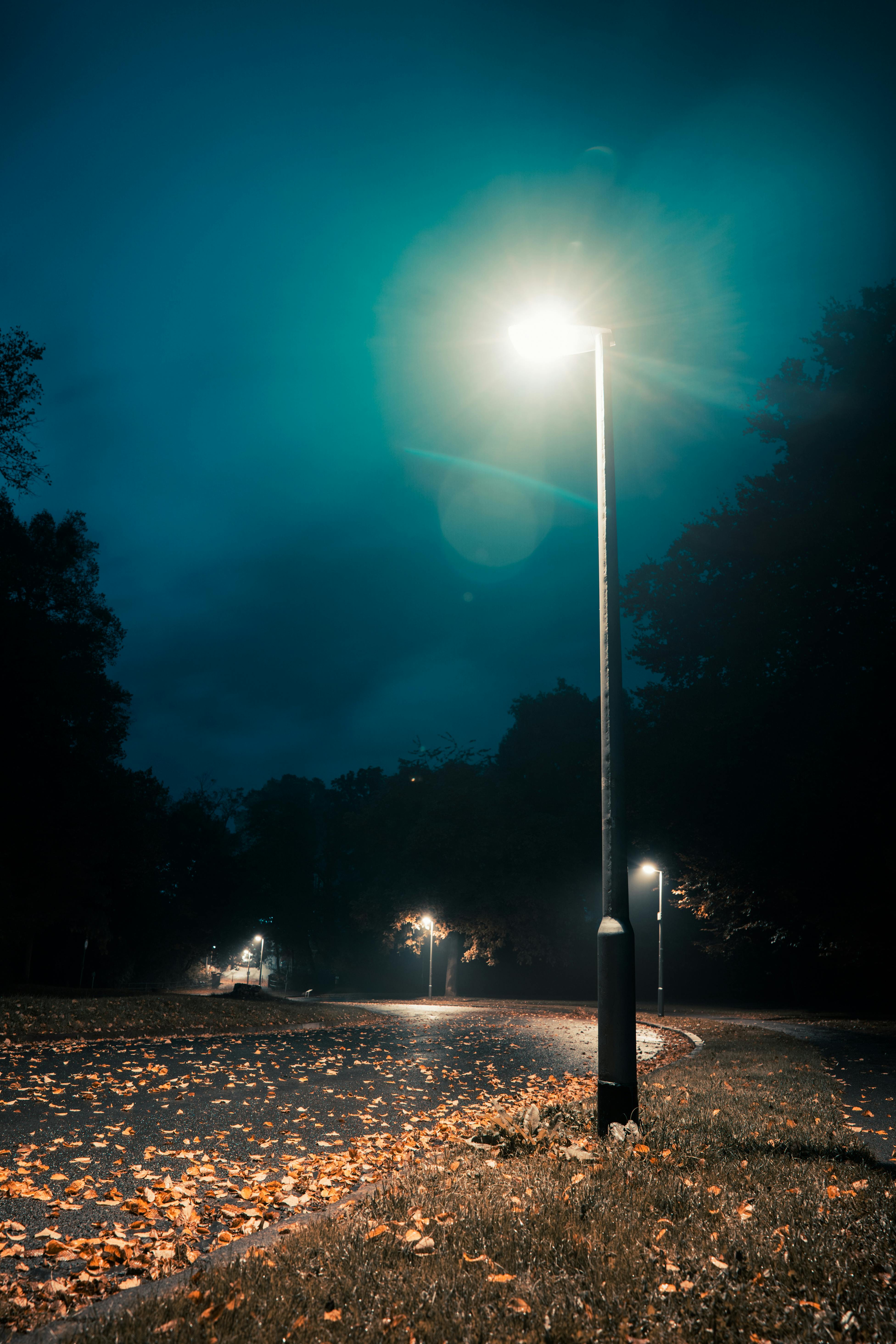Photograph of Street Lamps Beside a Road with Leaves · Free Stock Photo
