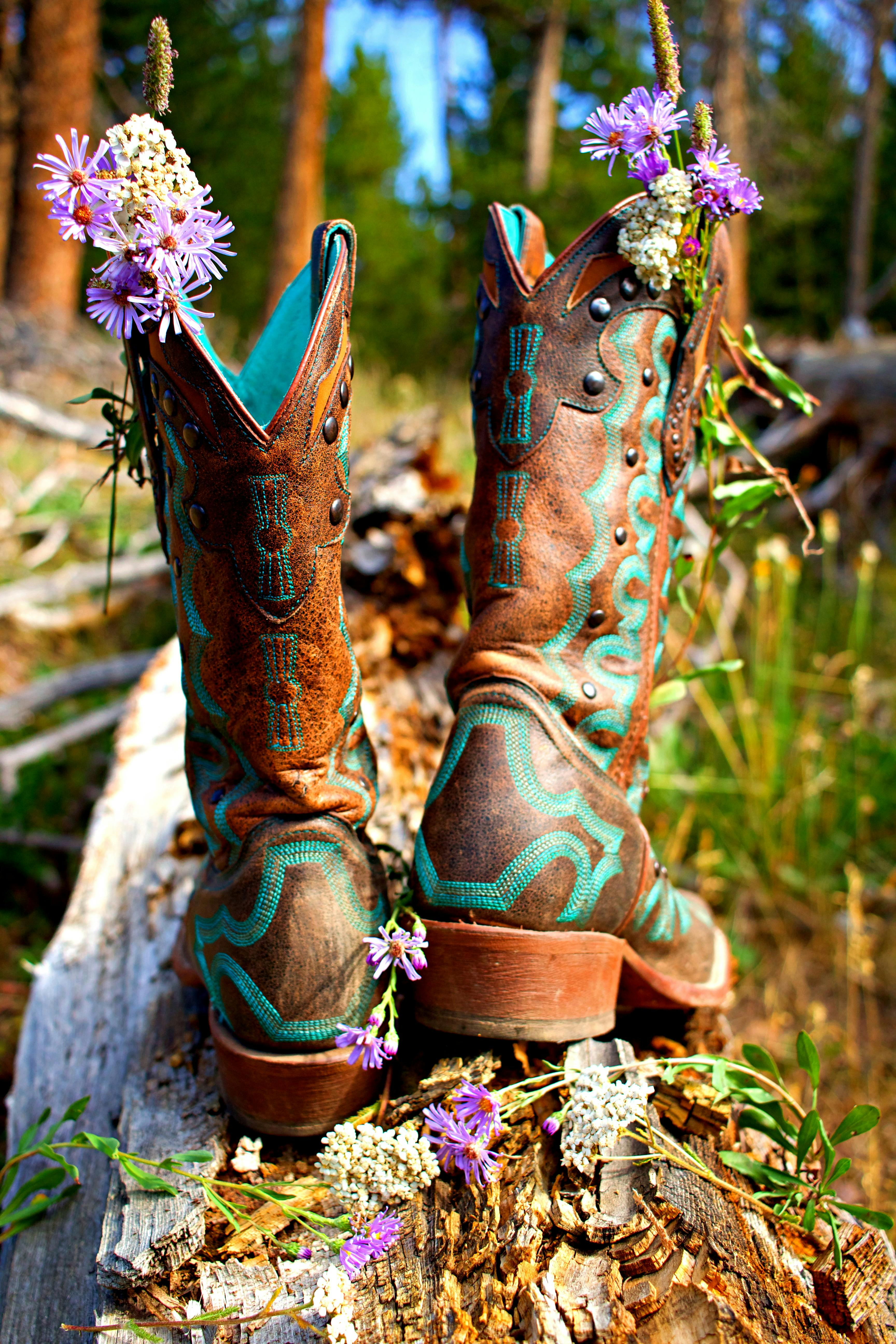 Colored Cowboy Boots · Free Stock Photo