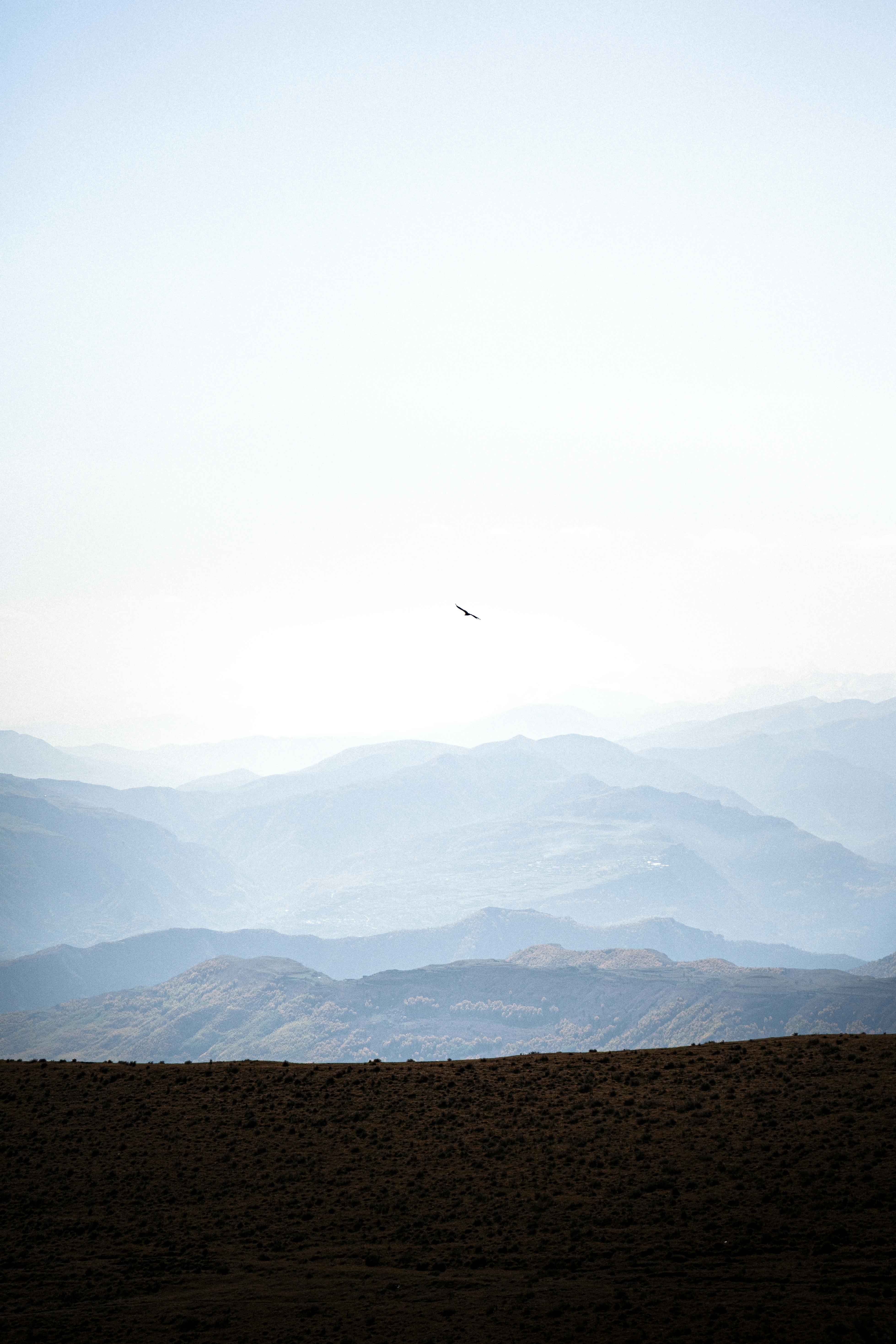 Bird Flying Over the Mountains · Free Stock Photo