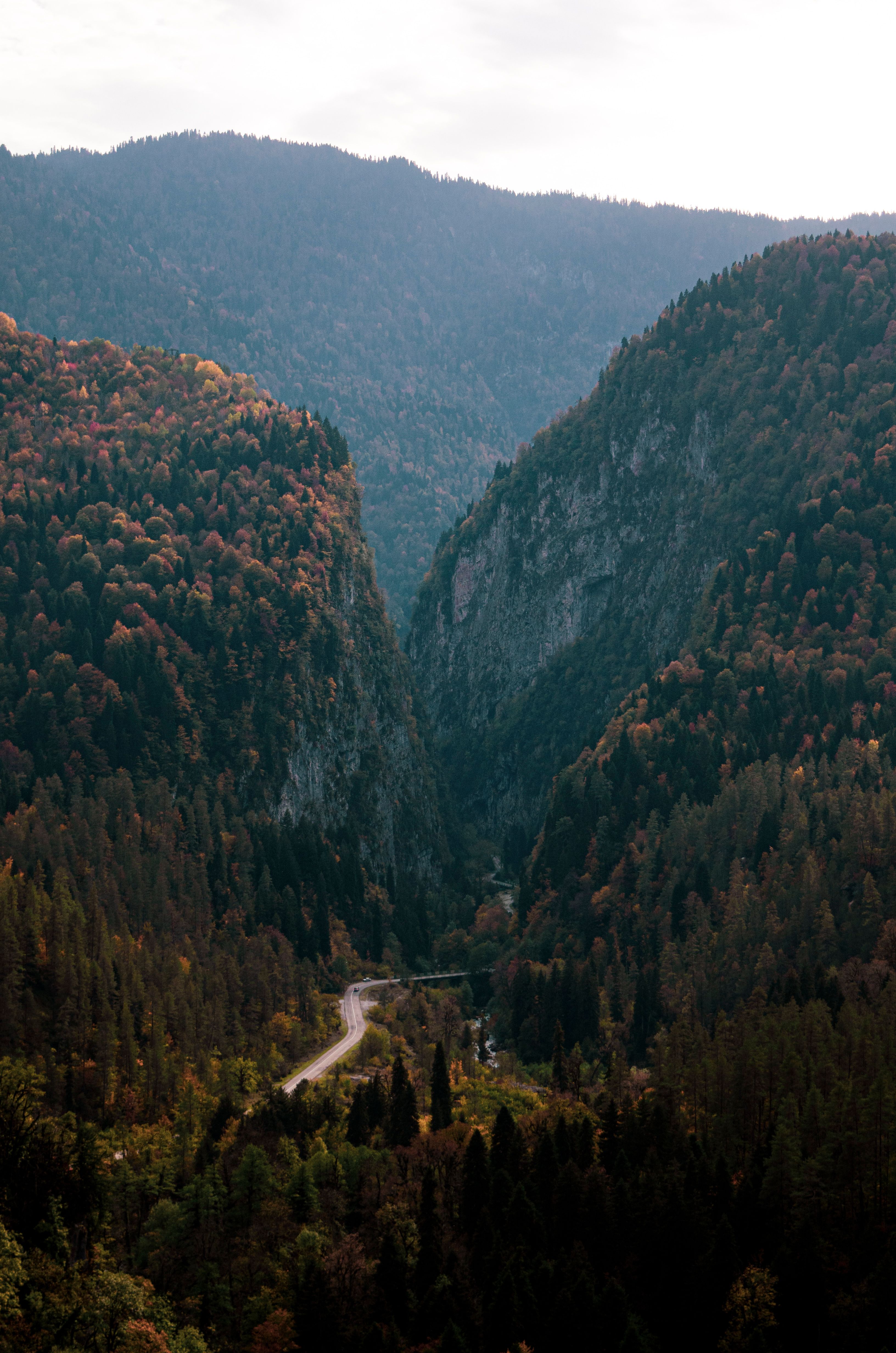 Valley among Forest on Rocks · Free Stock Photo